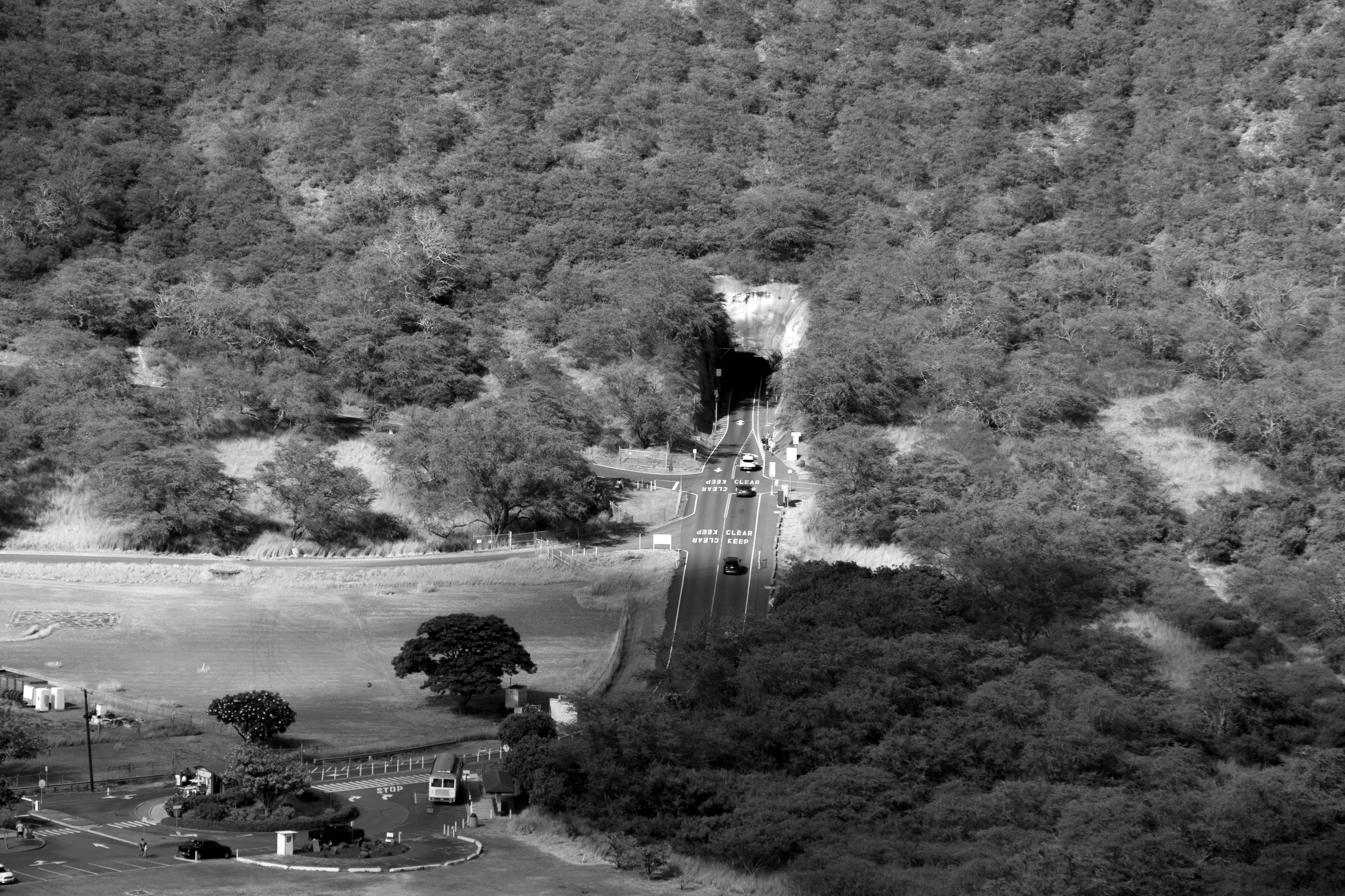 Monochrome Ridge: Highway through the Forest Cut with a Dark Tunnel Opening