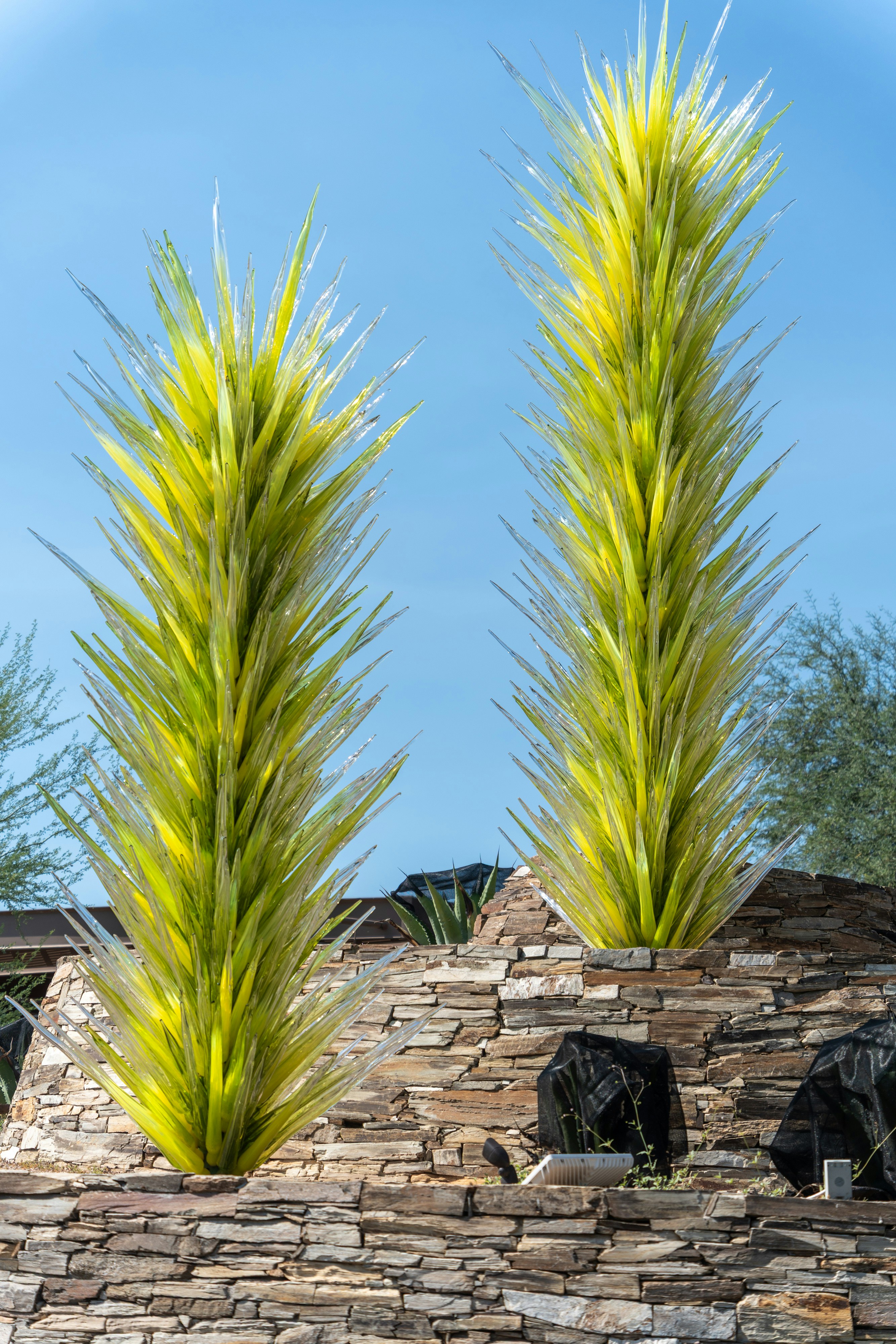 Two towering desert yucca-like plants crown a stone terrace under a clear blue sky