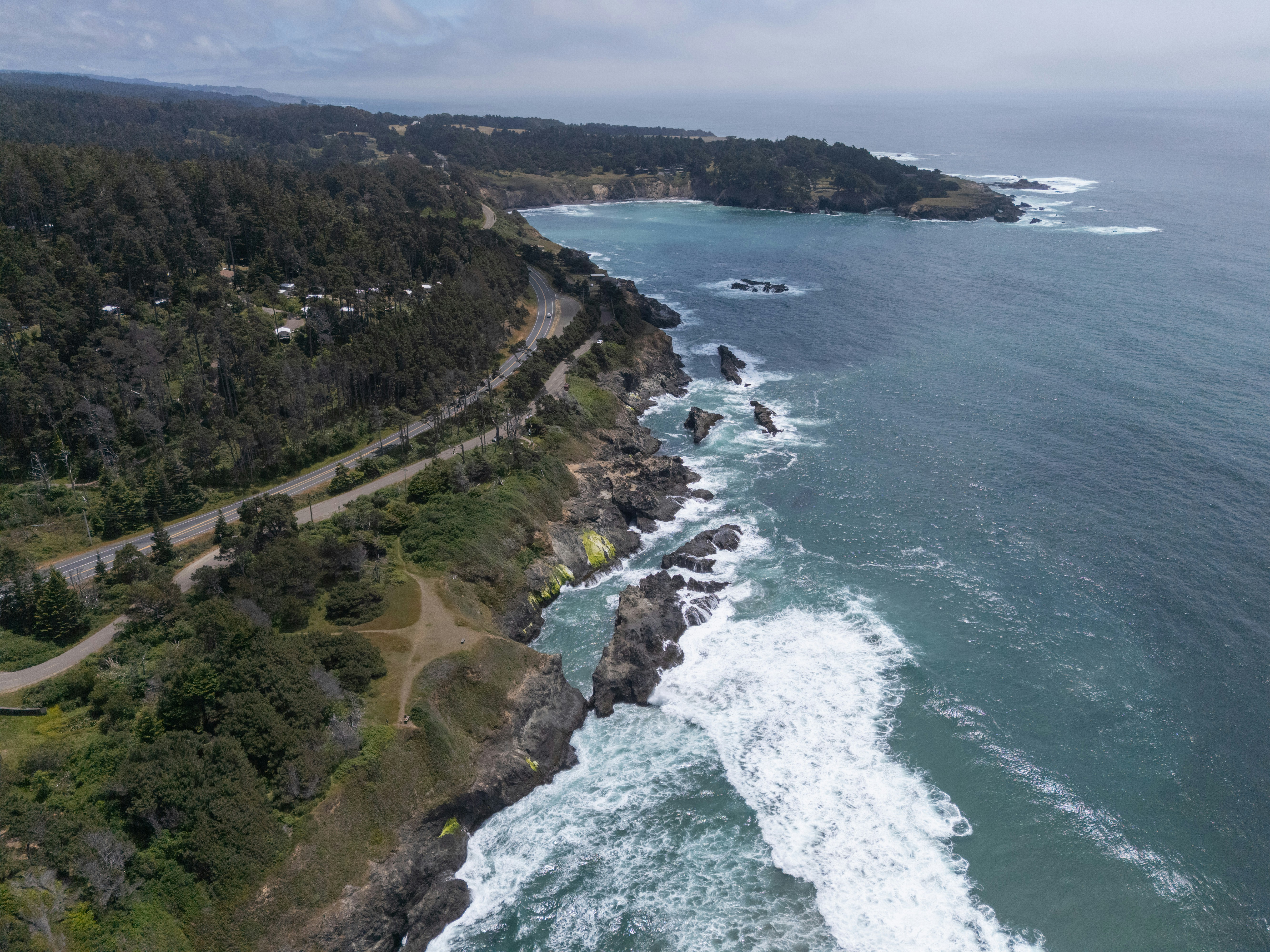 Coastal Road Carves Through Cliffside Forest, Ocean Crest in View