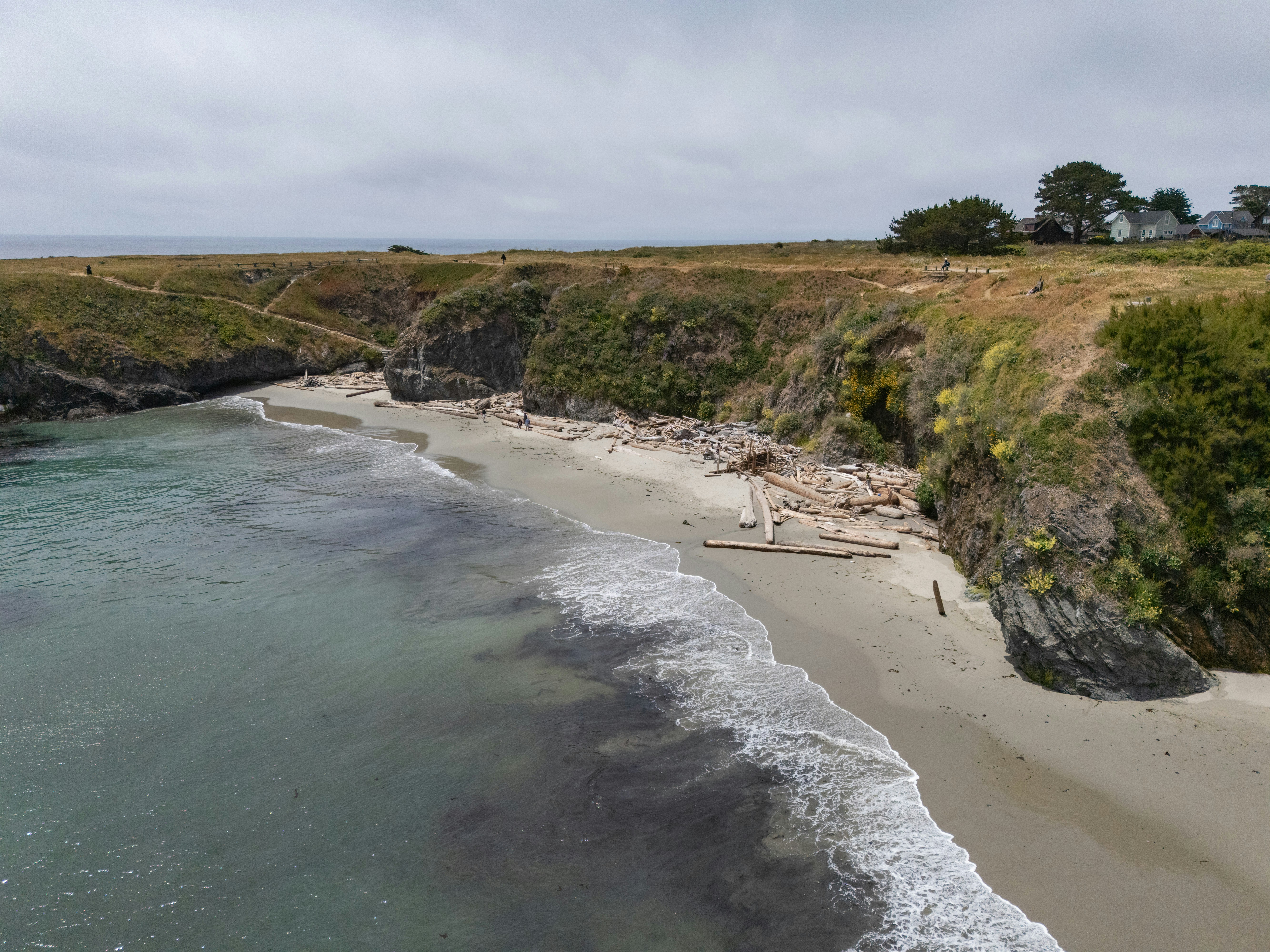 Coastal Cove: Cliffside Beach Quietly Framed by Driftwood