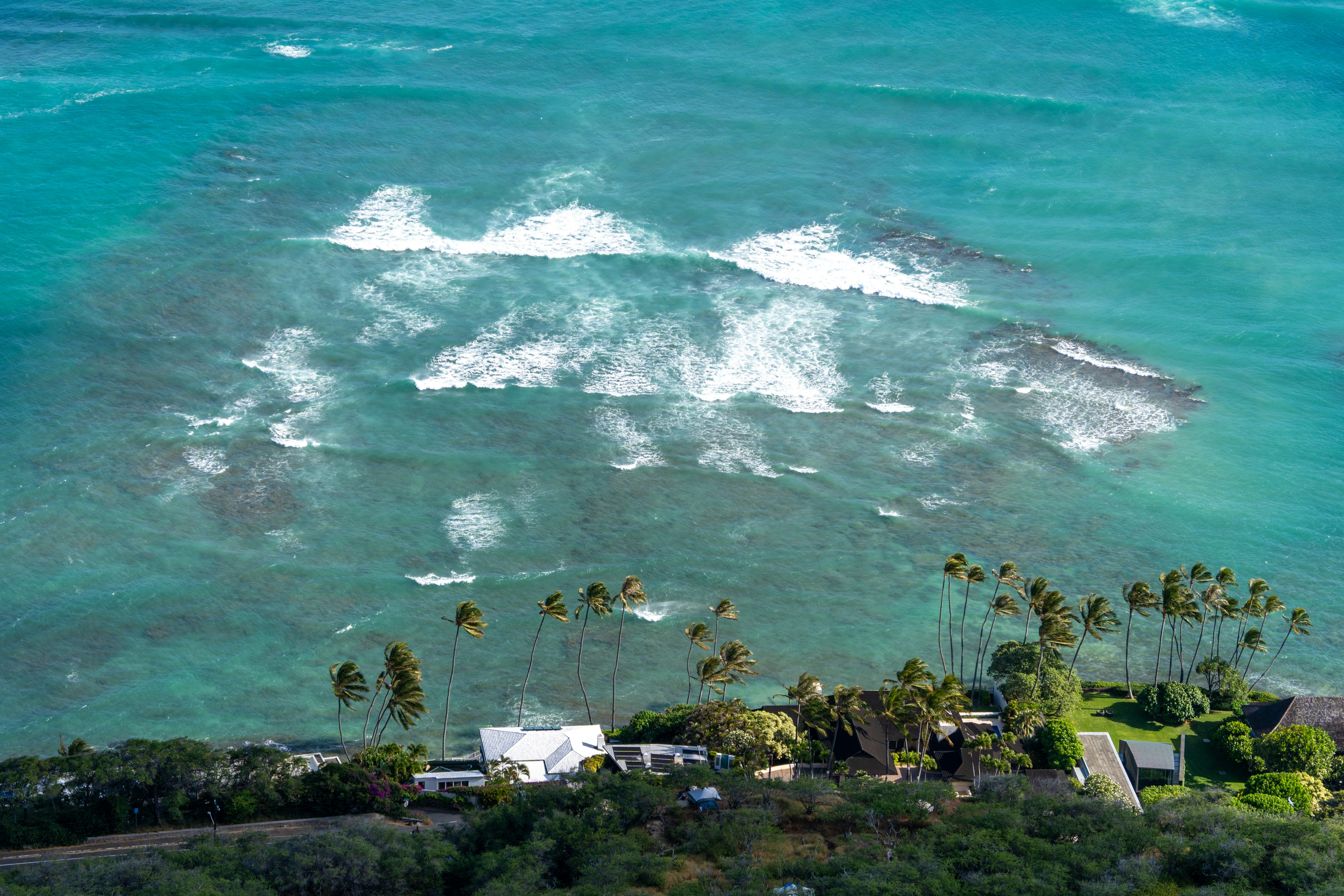 Coastal Retreat: Aerial View of Turquoise Waters and Palm-Lined Shoreline