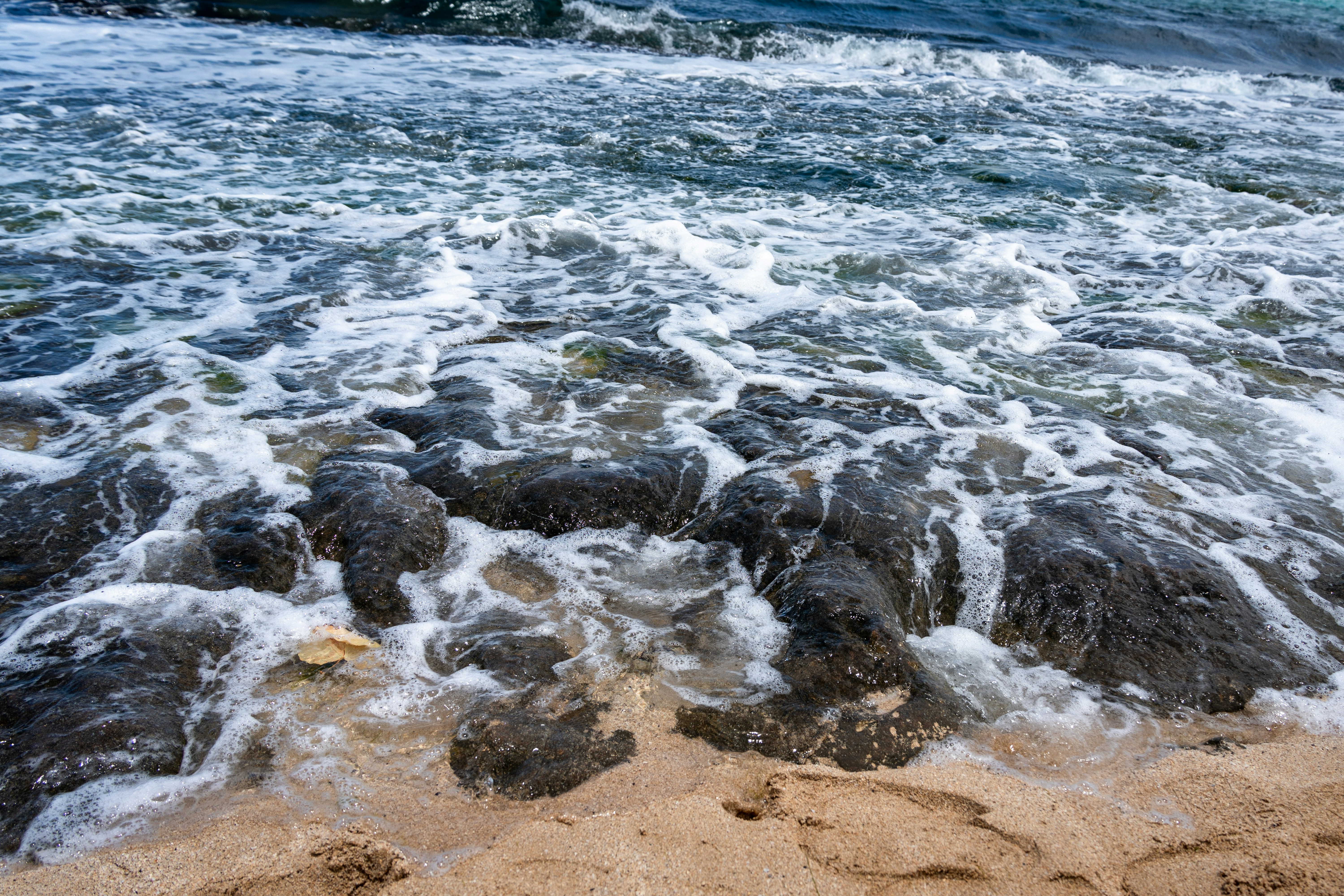 Foamy Tides over Rugged Shoreline