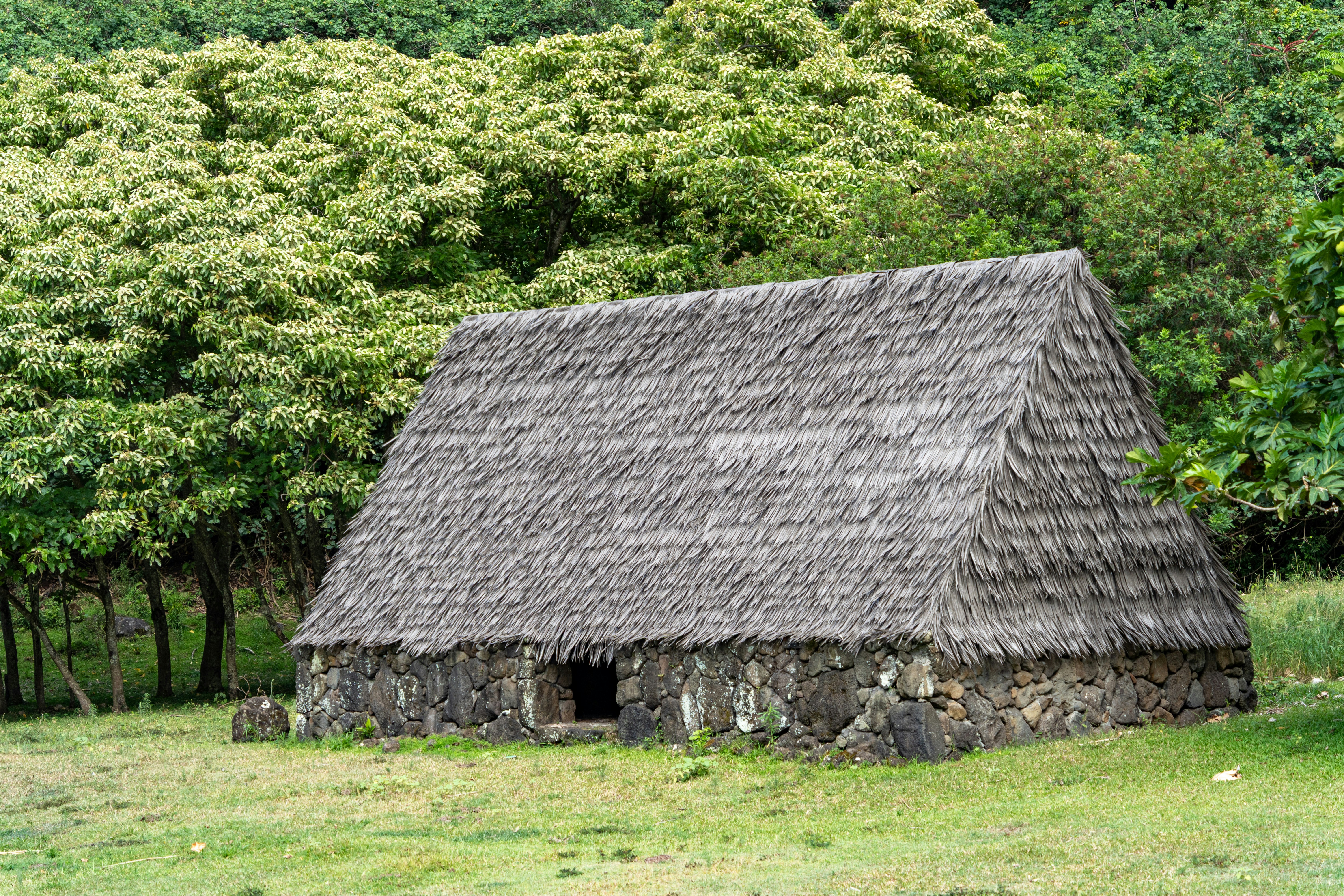 Thatched Stone Cottage Beneath a Canopy of Green