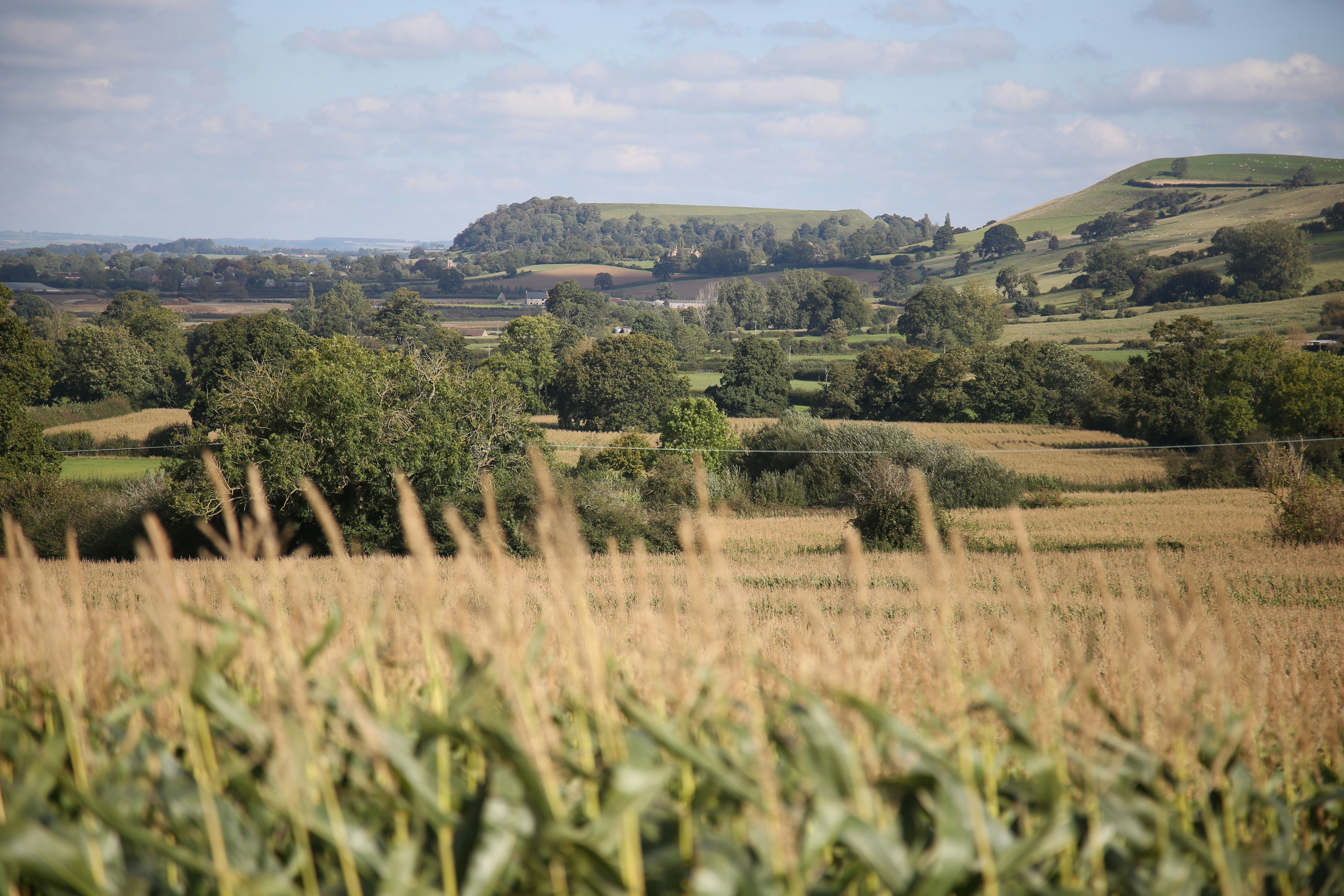 Horizon Veil over the Cornfield Hills