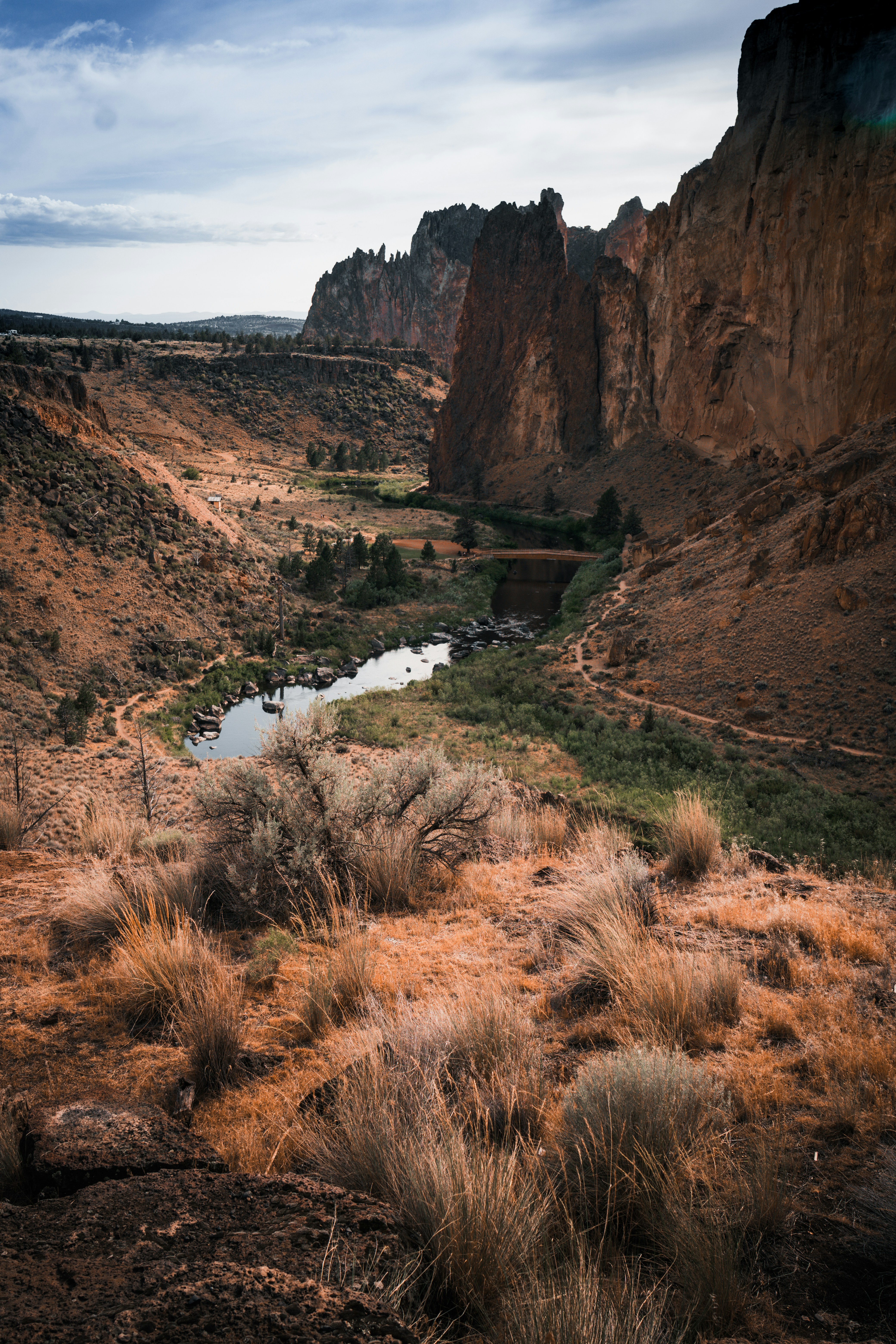 Desert canyon landscape with jagged rock formations, a narrow river winding through the valley, and tufts of dry grasses in the foreground.