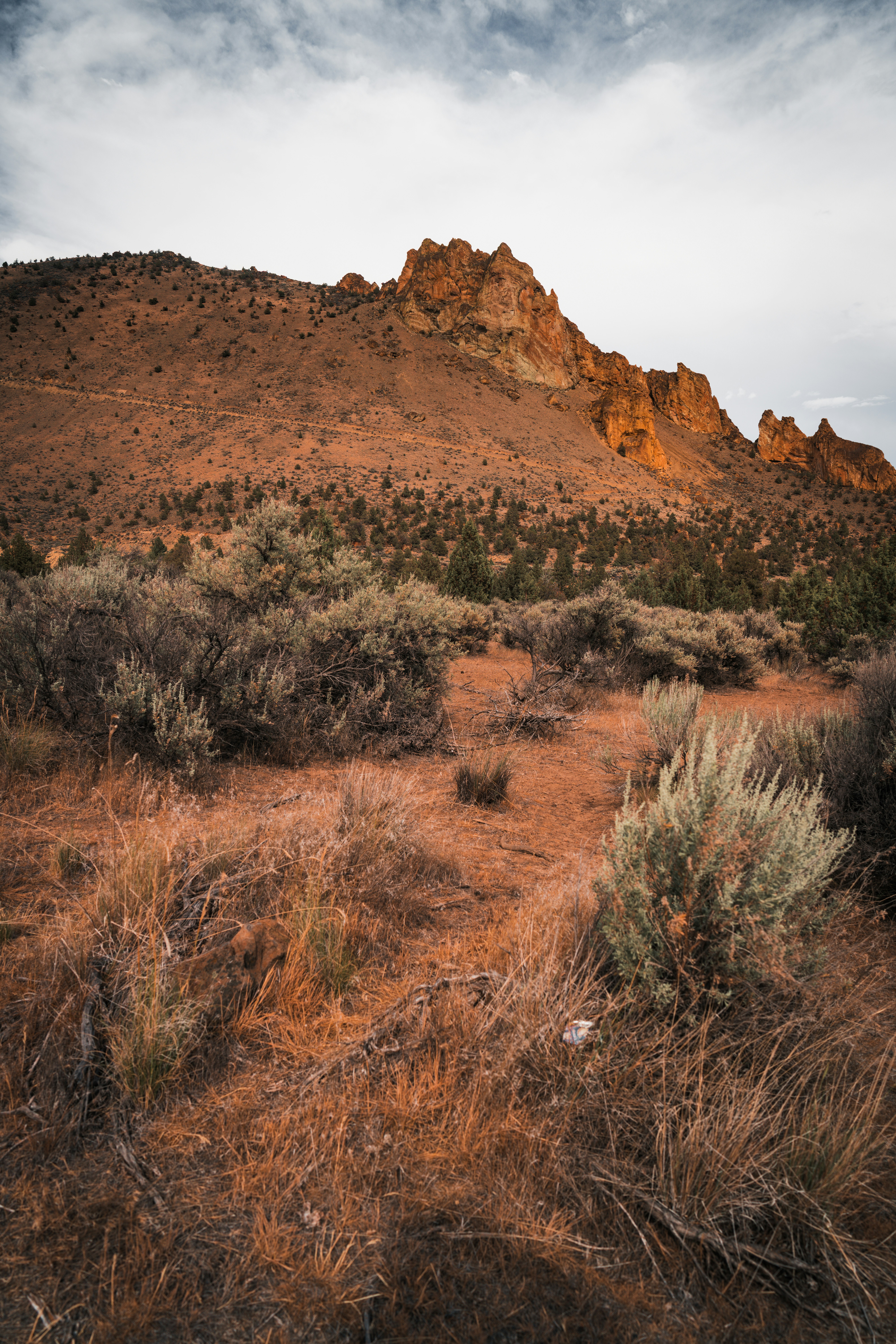 Rugged Ridge at Golden Hour