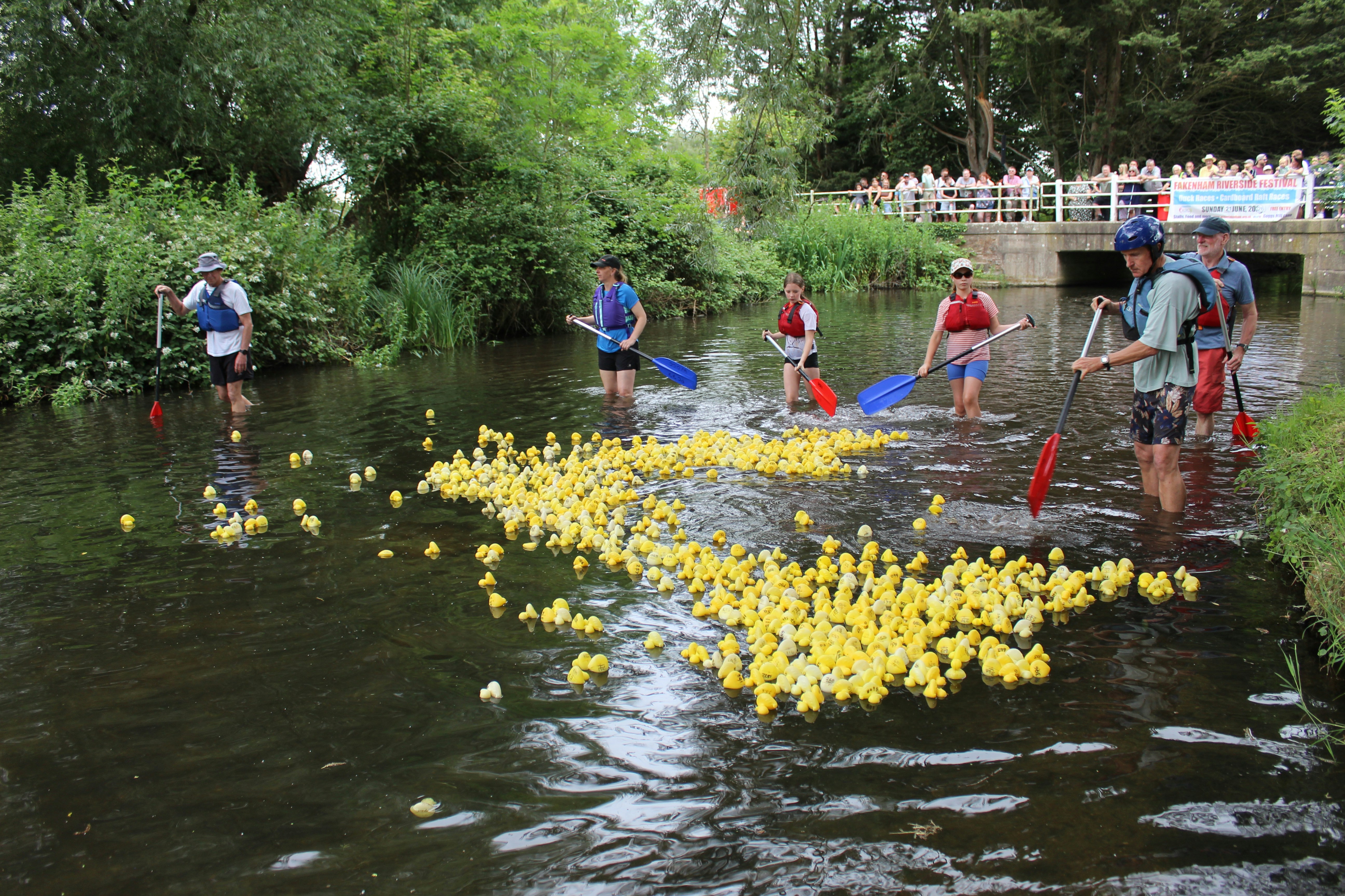 Yellow Duck Swarm: Paddlers Shepherd a Crowd across a River