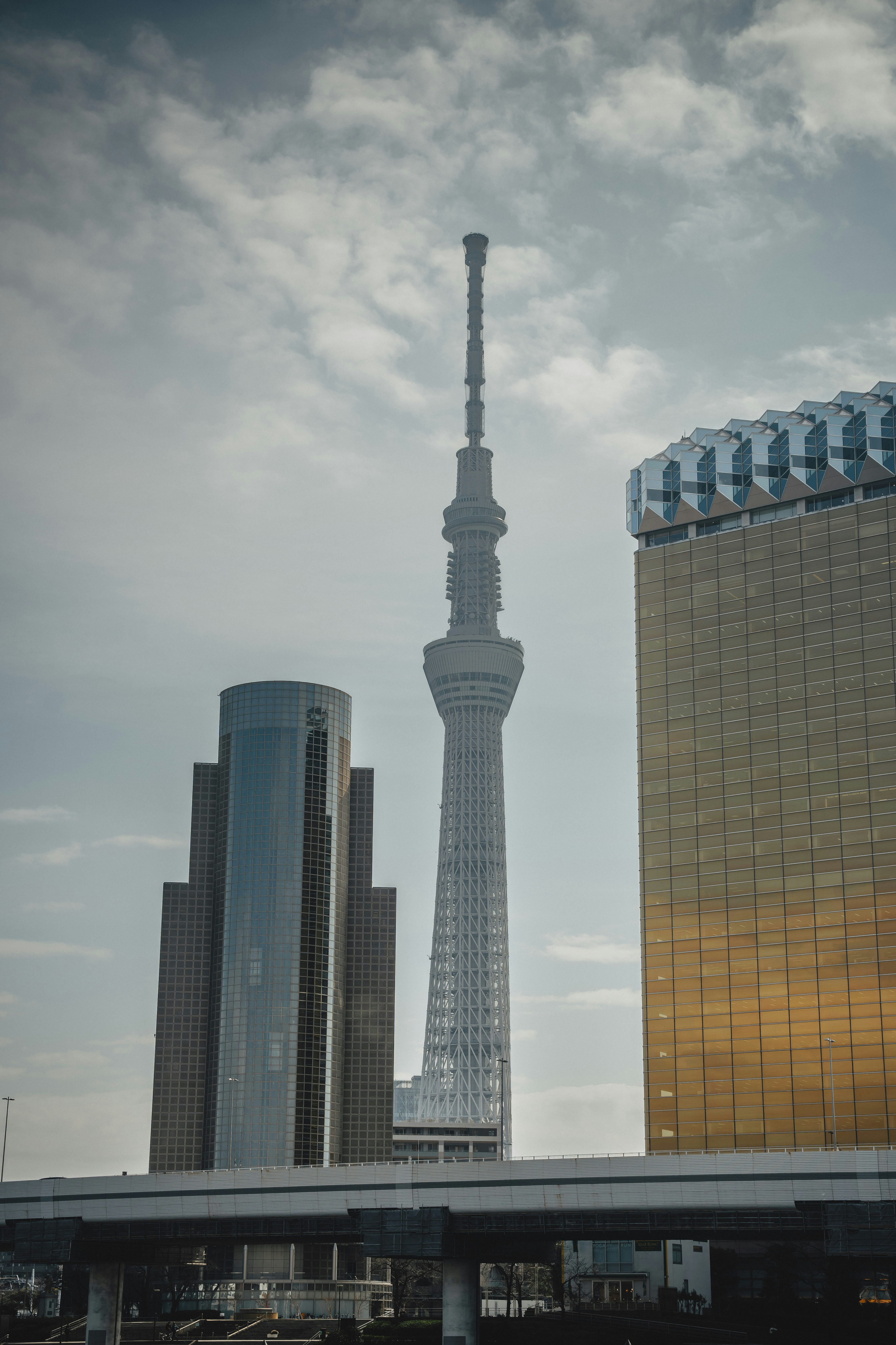 Tokyo Skyscape: Tower Piercing the Skyline