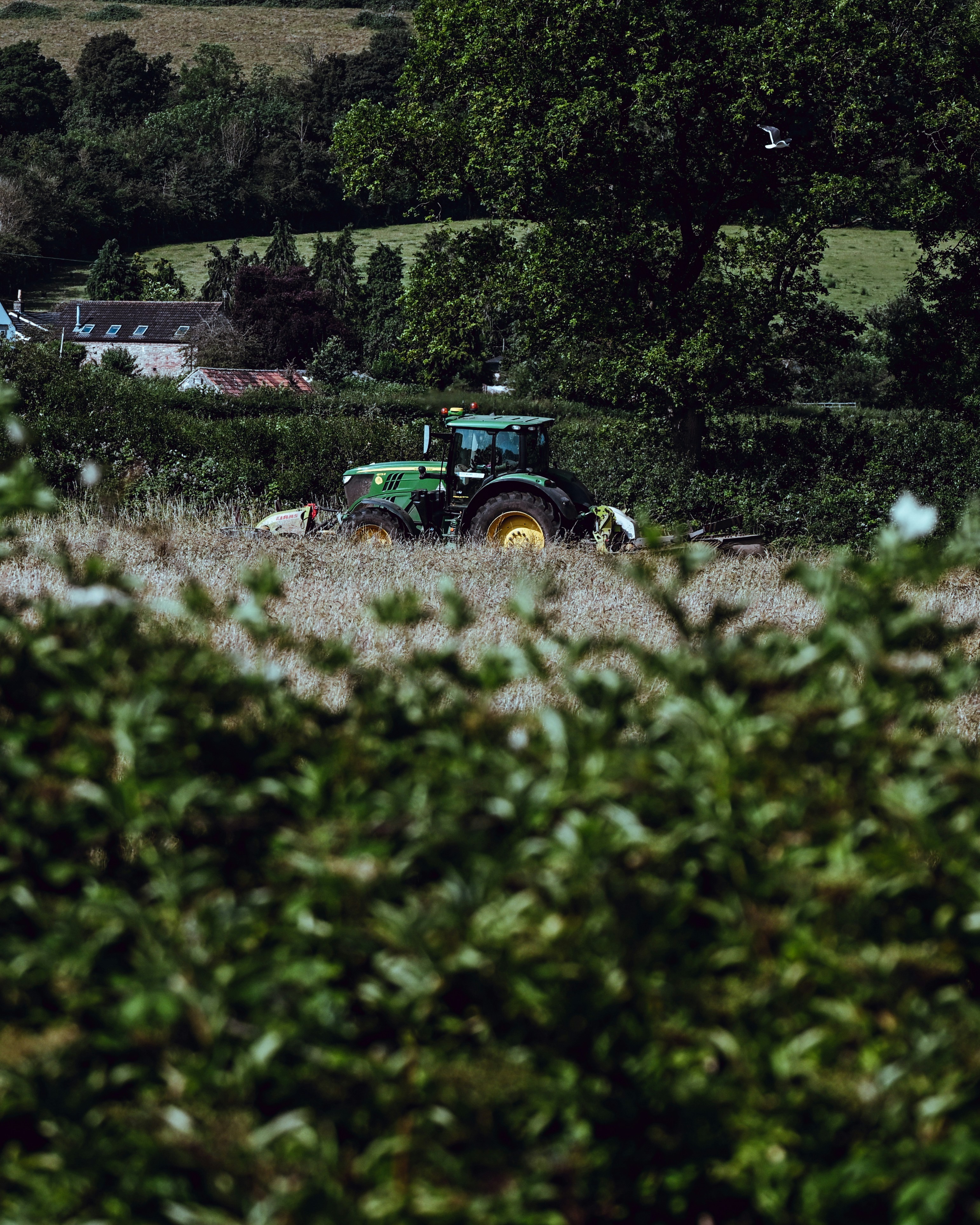 Green Tractor in a Quiet Meadow