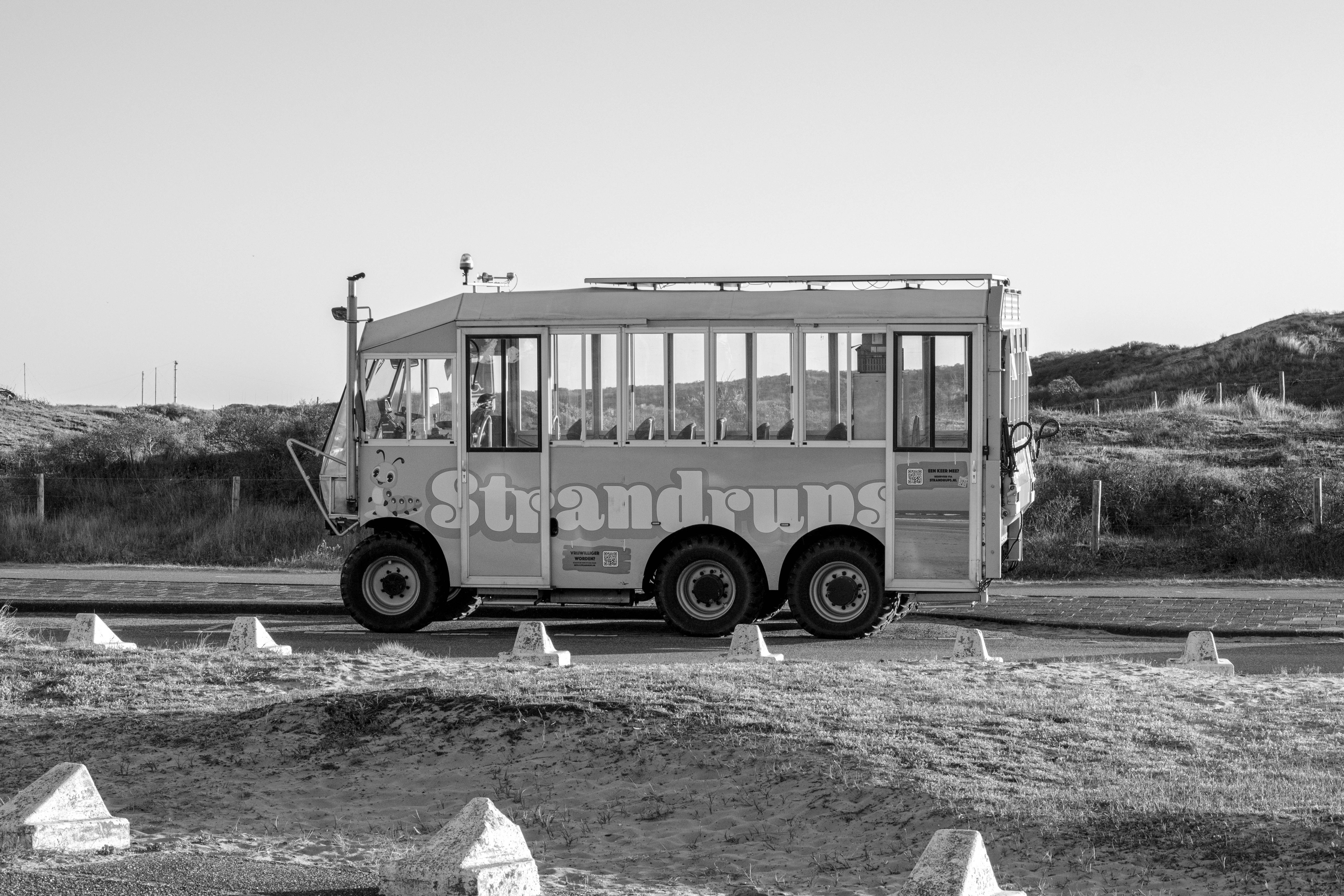 Desert Bus Standstill: A Quiet Lineup Under Wide Skies