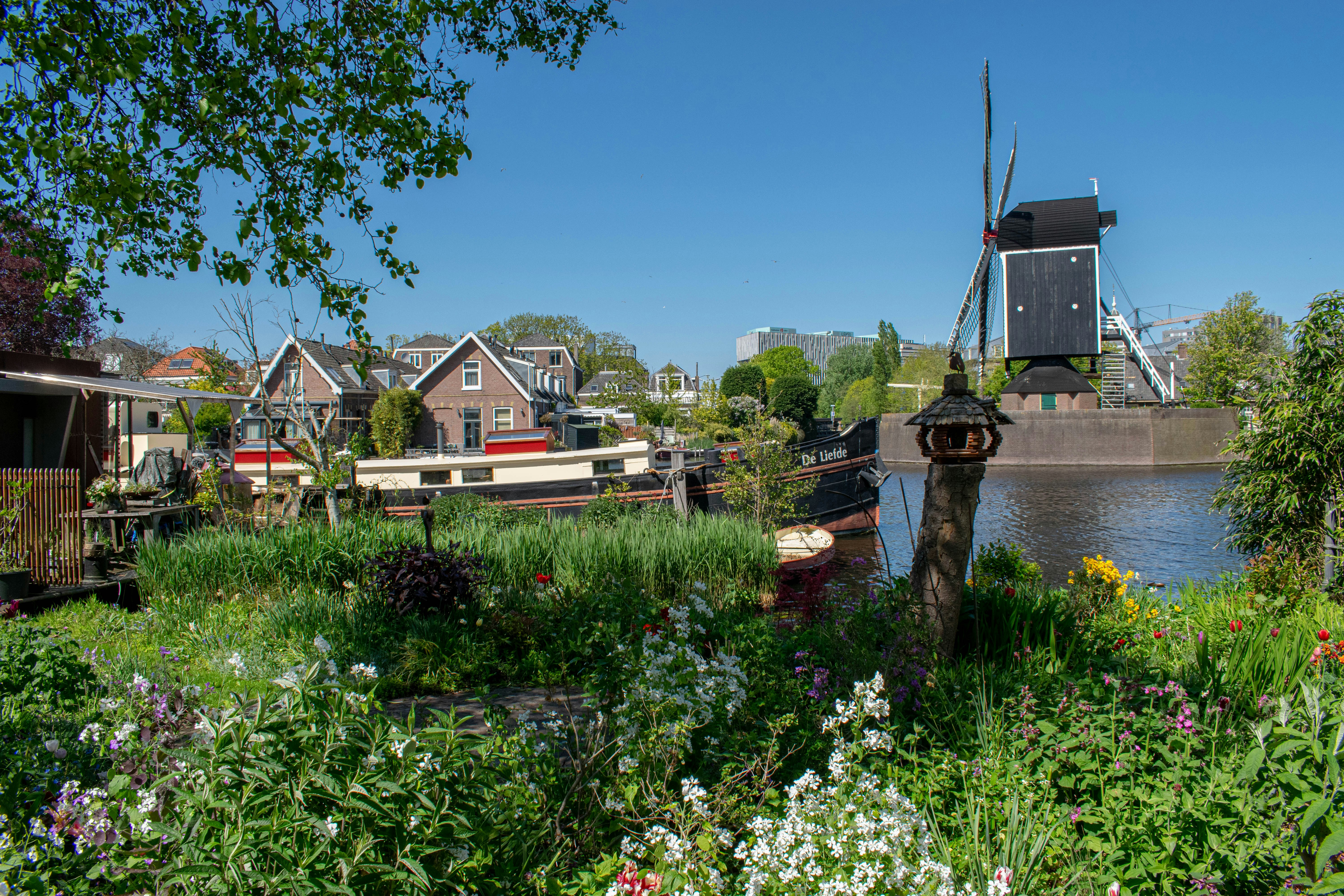Towpath Garden and Windmill Vista