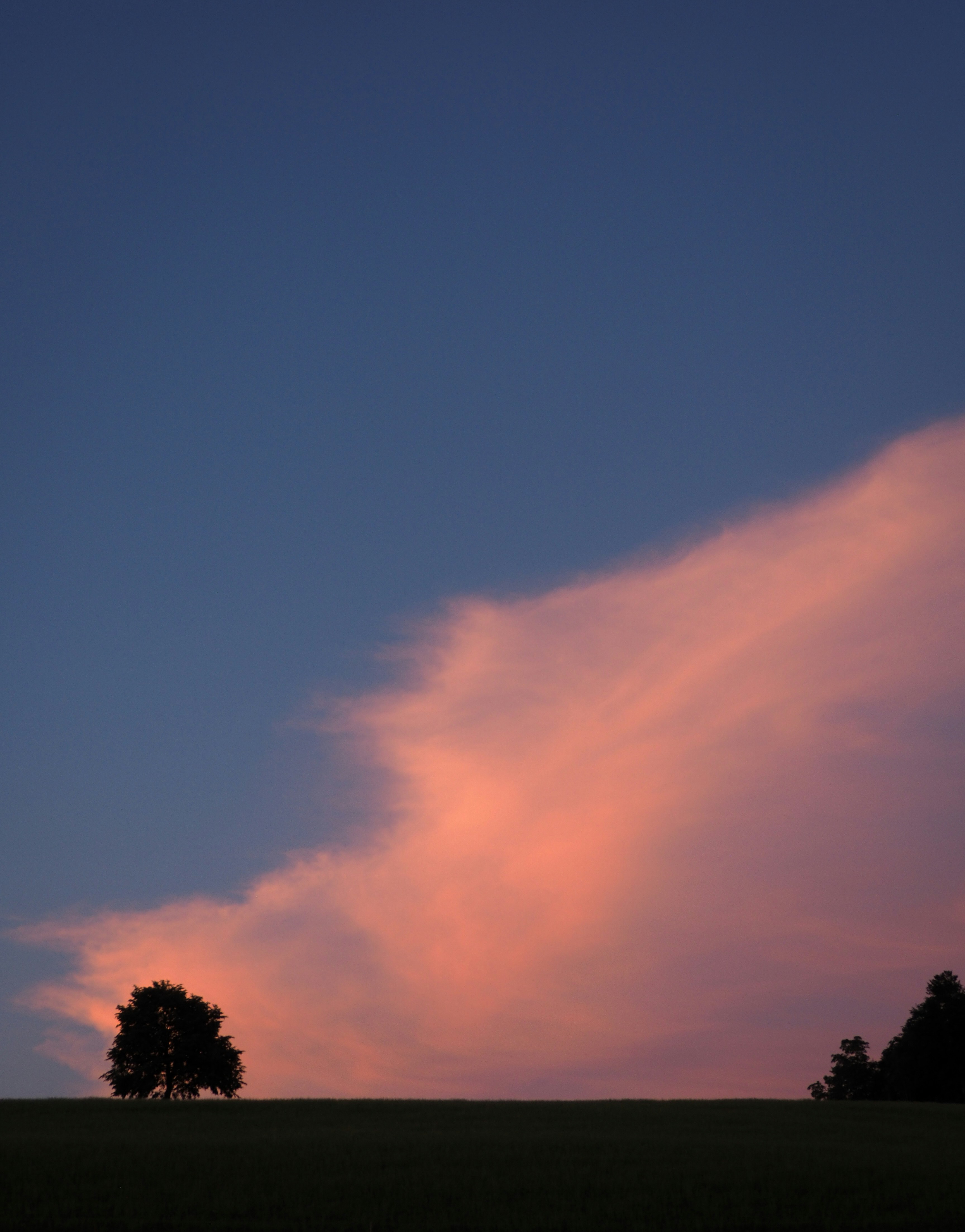 Silhouette on the Horizon Beneath a Coral Cloud