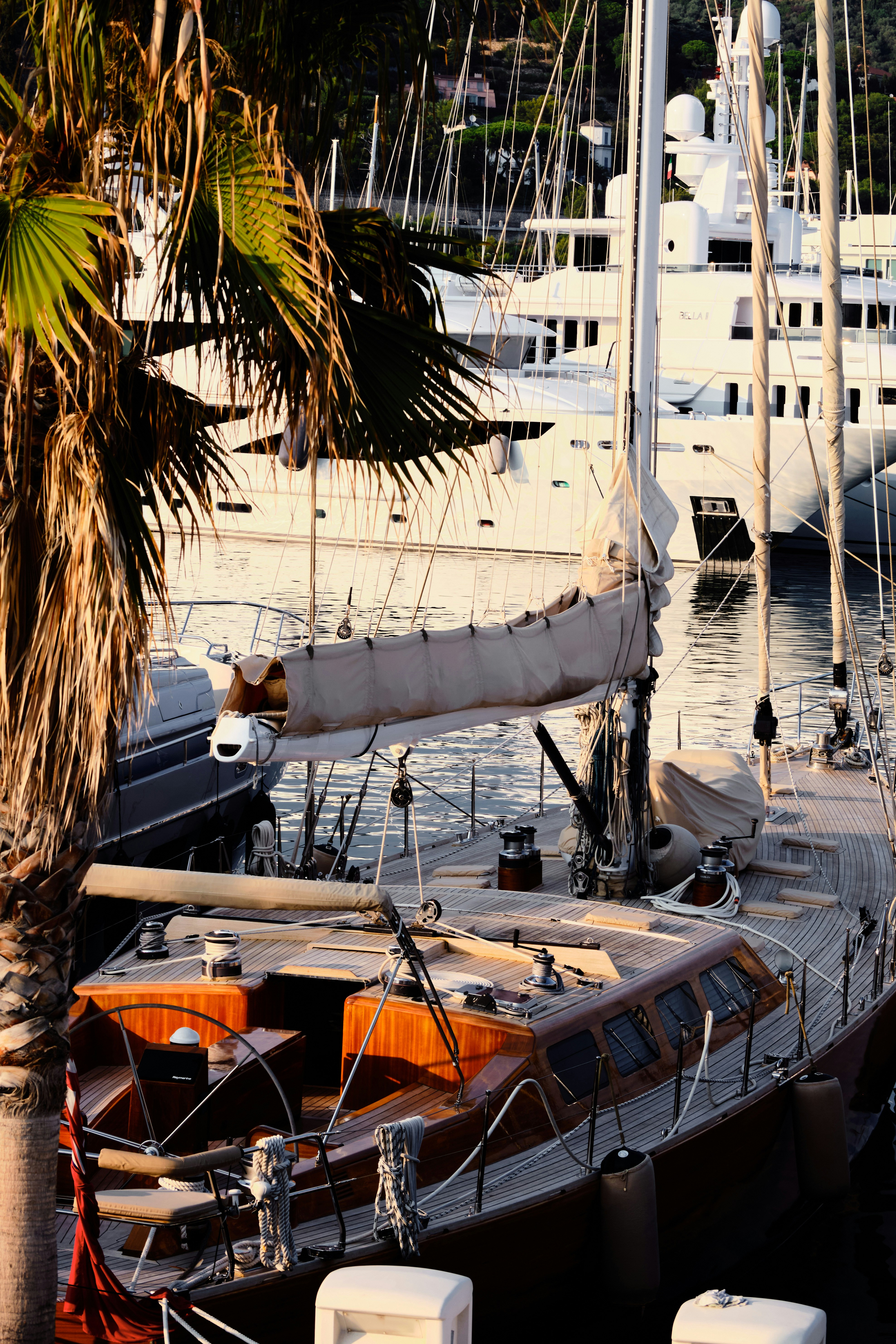 Docked in Quiet Light: A Marina Veil Framed by sails and Palm