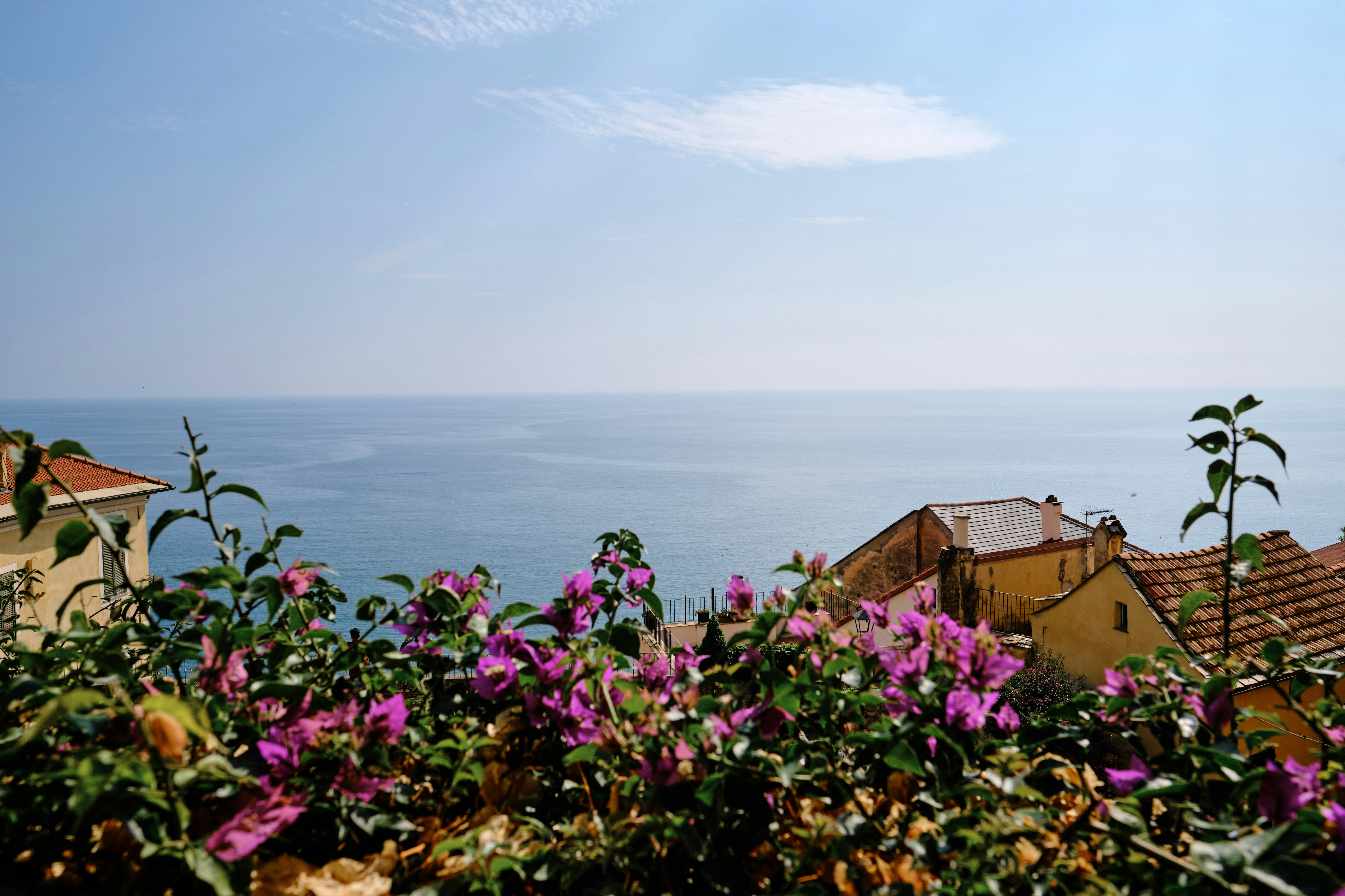 Sea Horizon Framed by Blooming Terrace