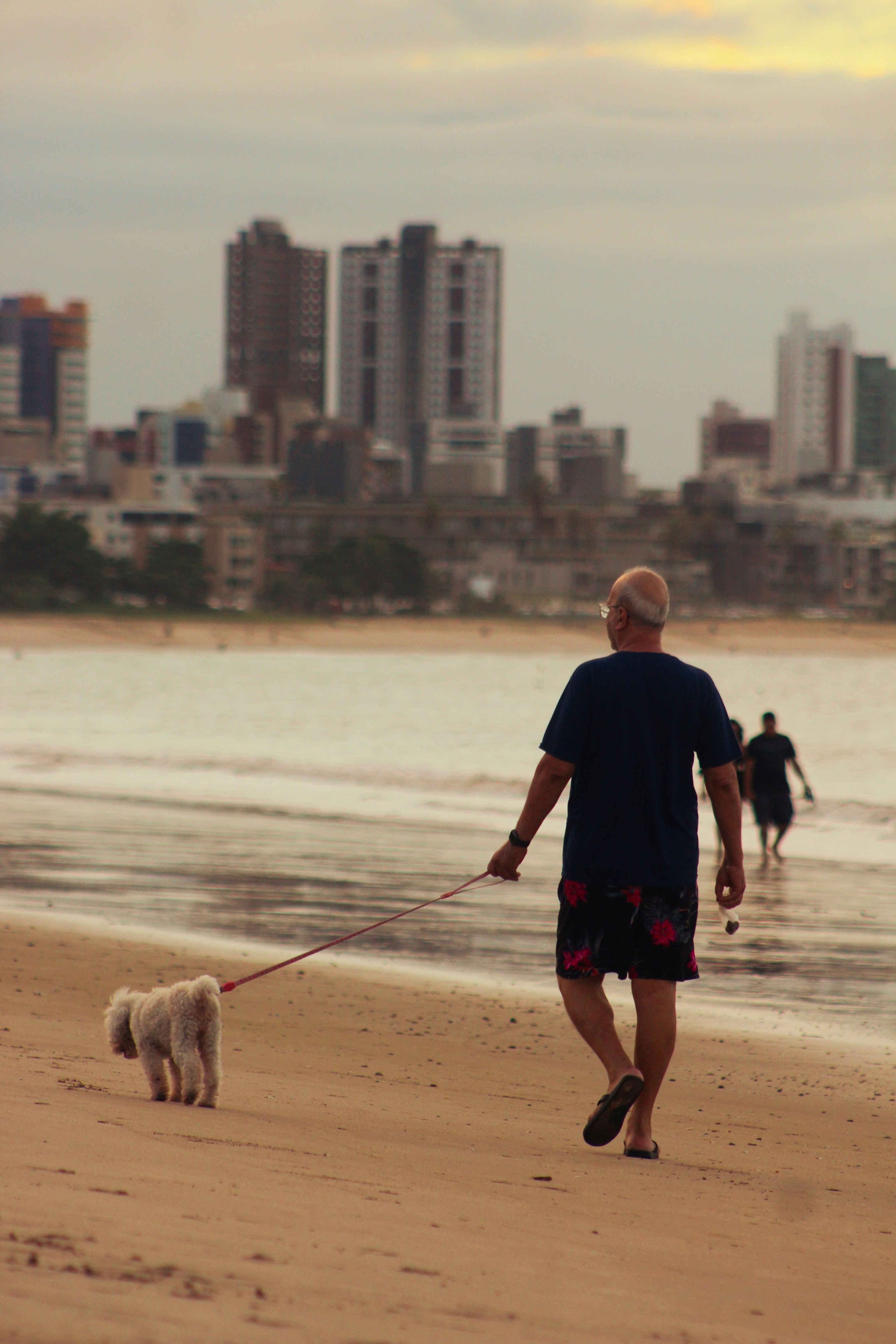 A man walks a small dog along a calm beach with city buildings in the hazy background at sunset.
