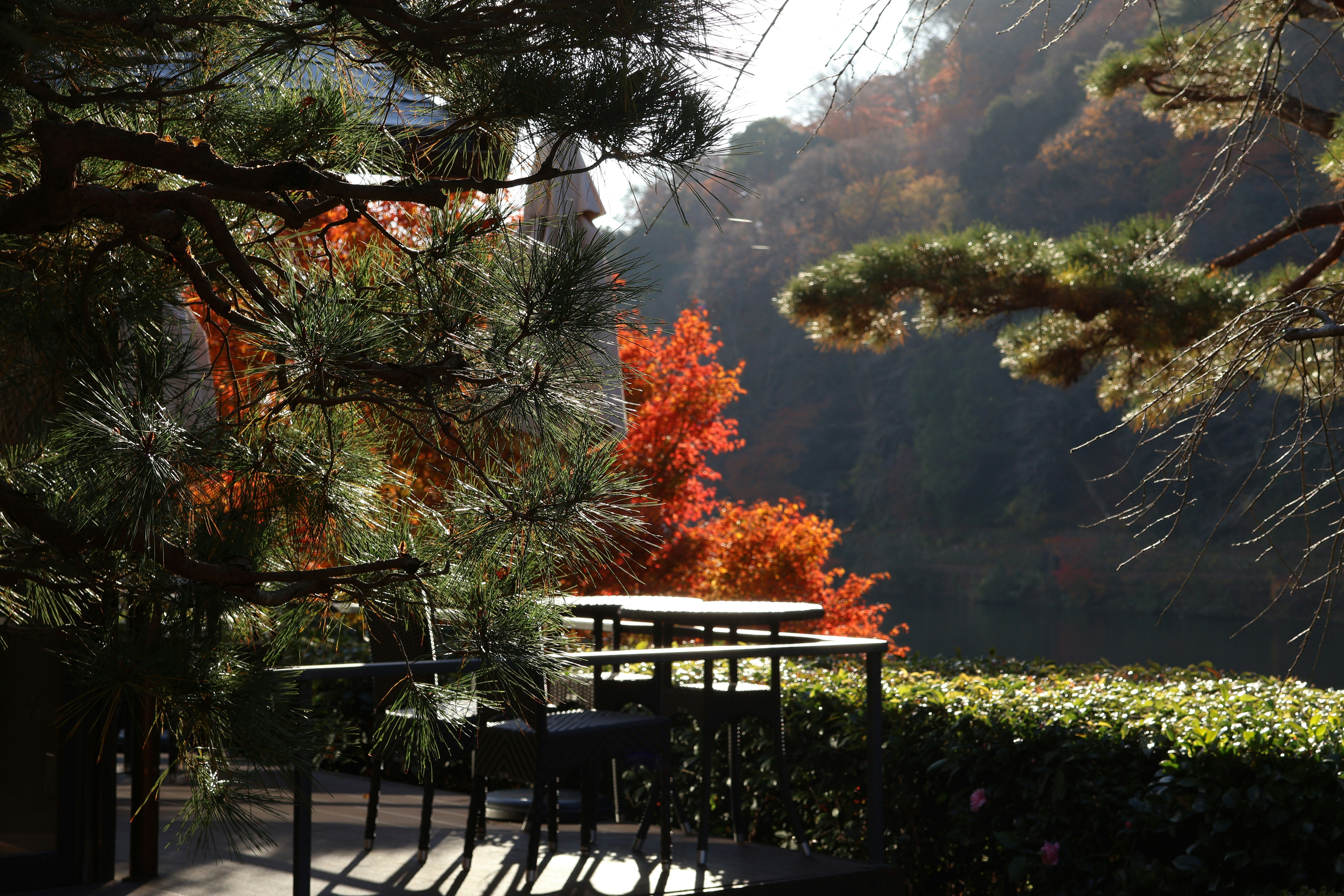 Autumn Terrace by the Lake