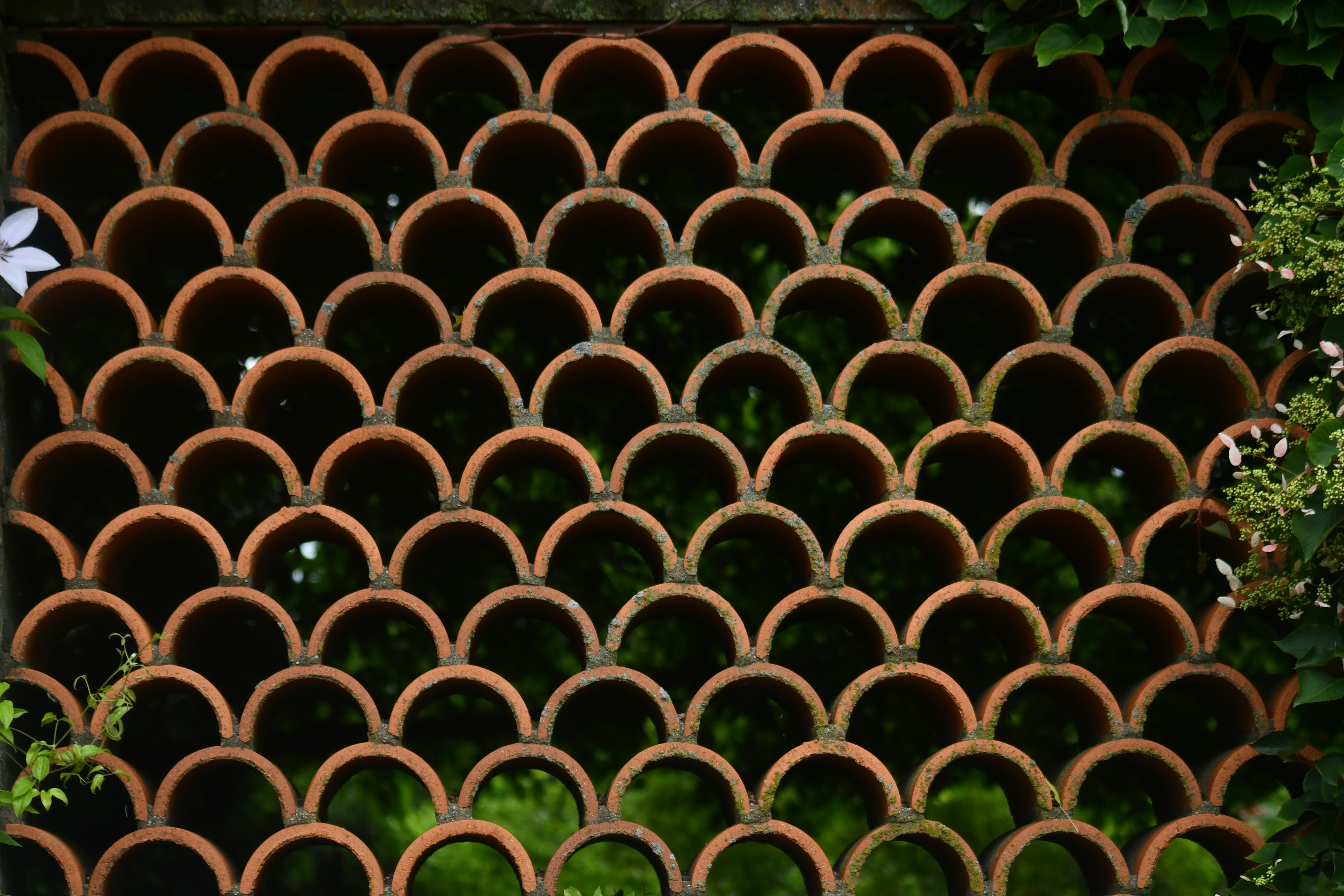 Curved Terracotta Lattice: Repetition of Arches in a Garden Wall