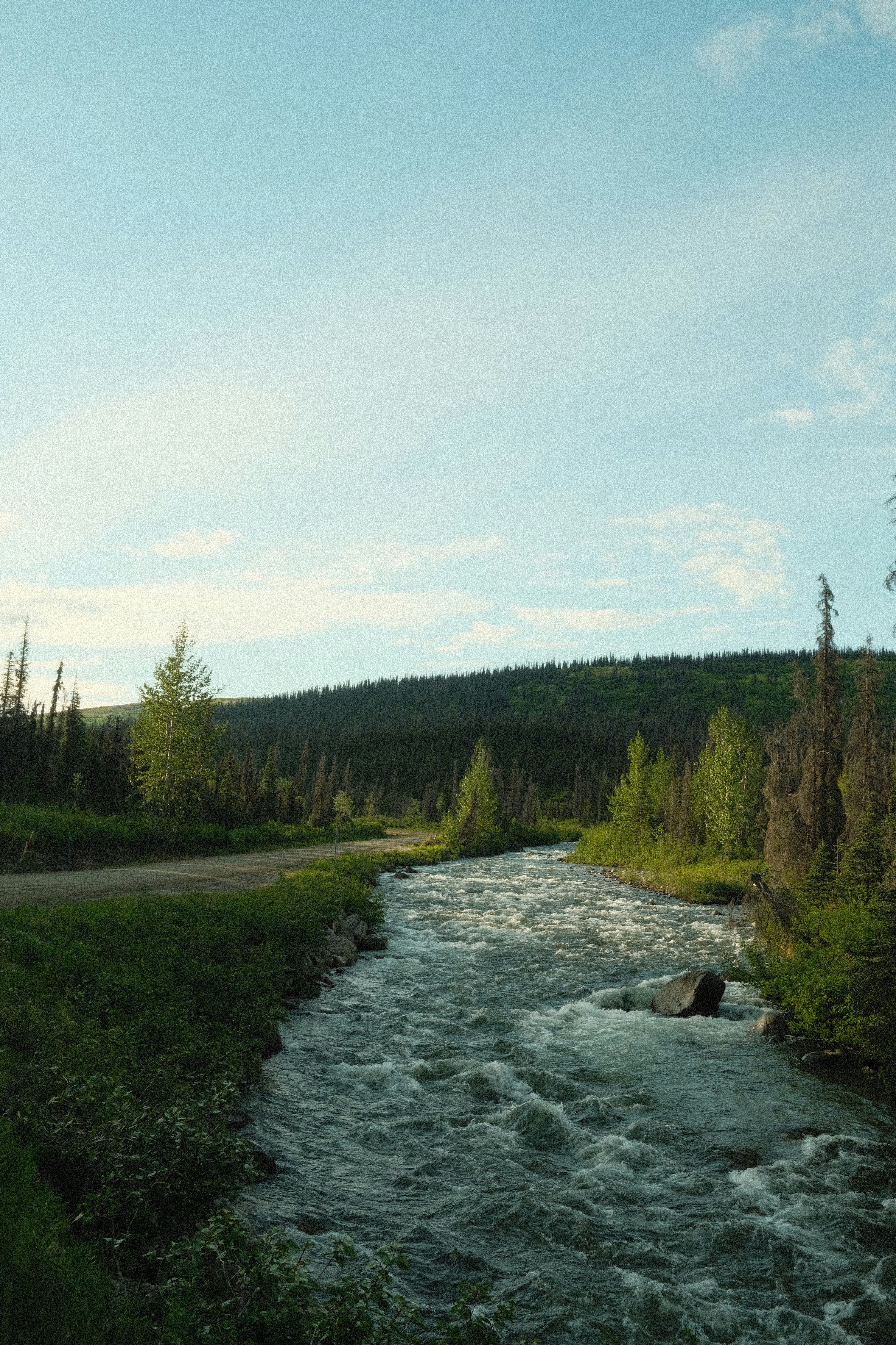 River Run: A Quiet Current Through Green Horizons