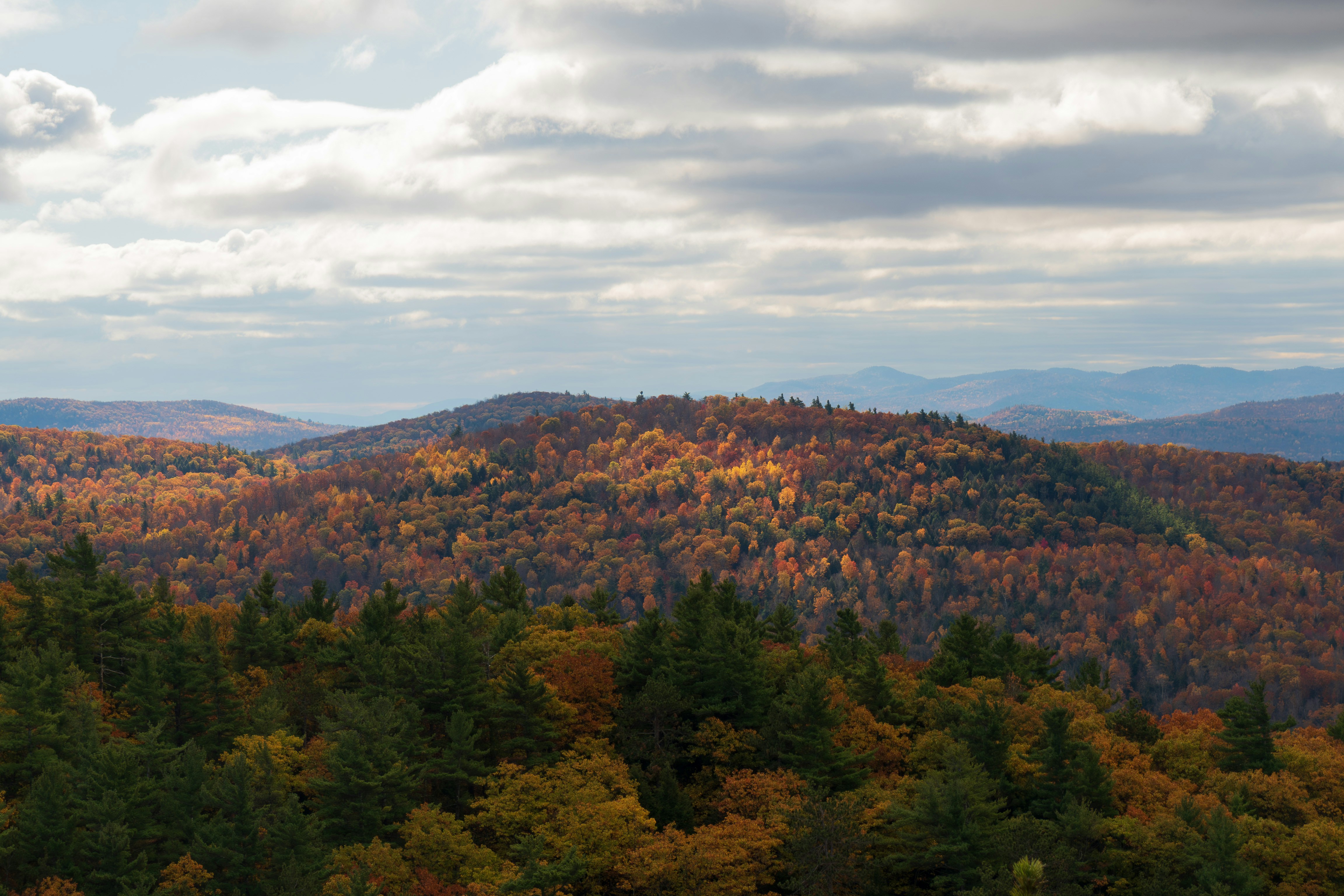 Autumn Ridge: A Palette of Hilltop Foliage