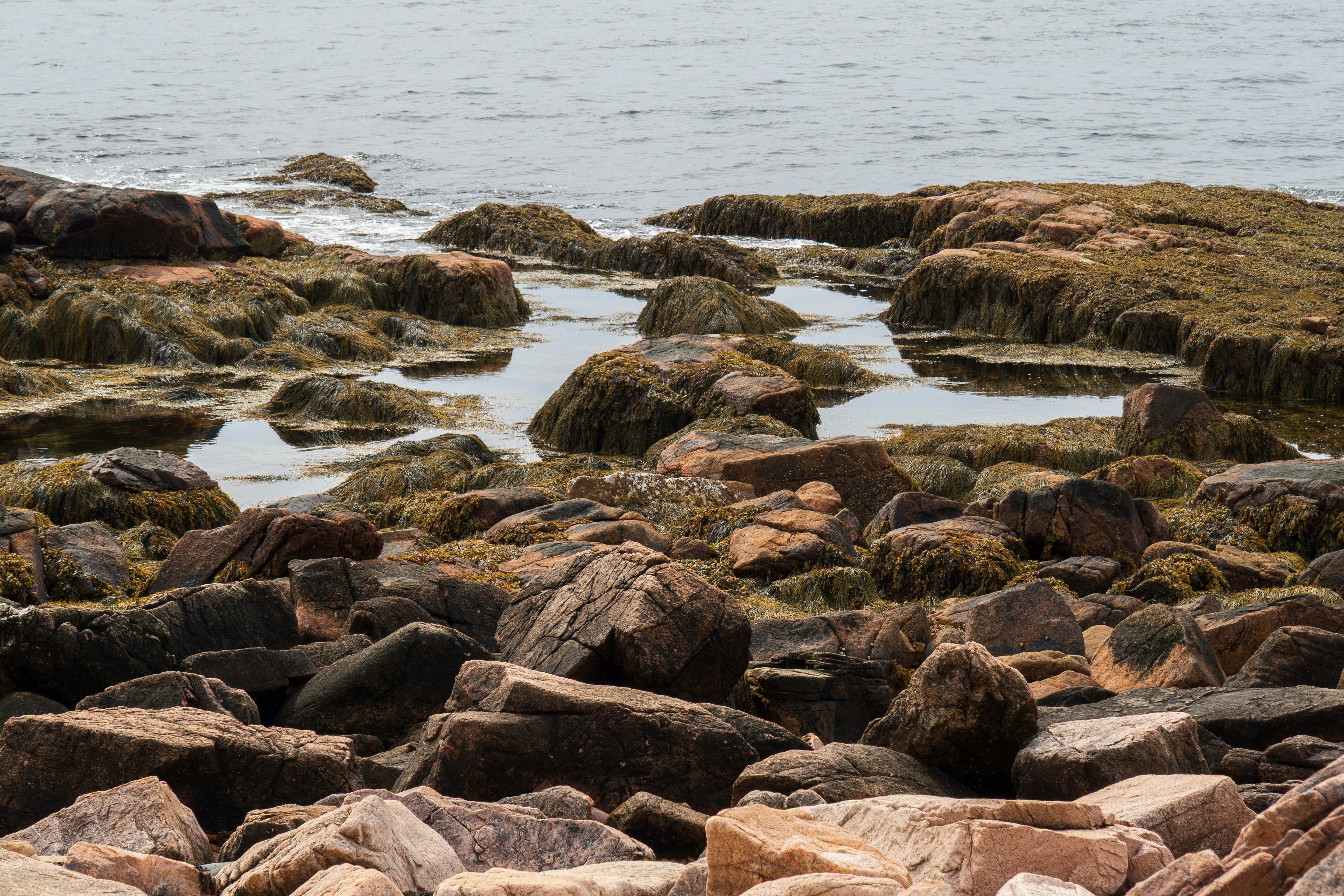 Coastal Tides Among Rugged Geology