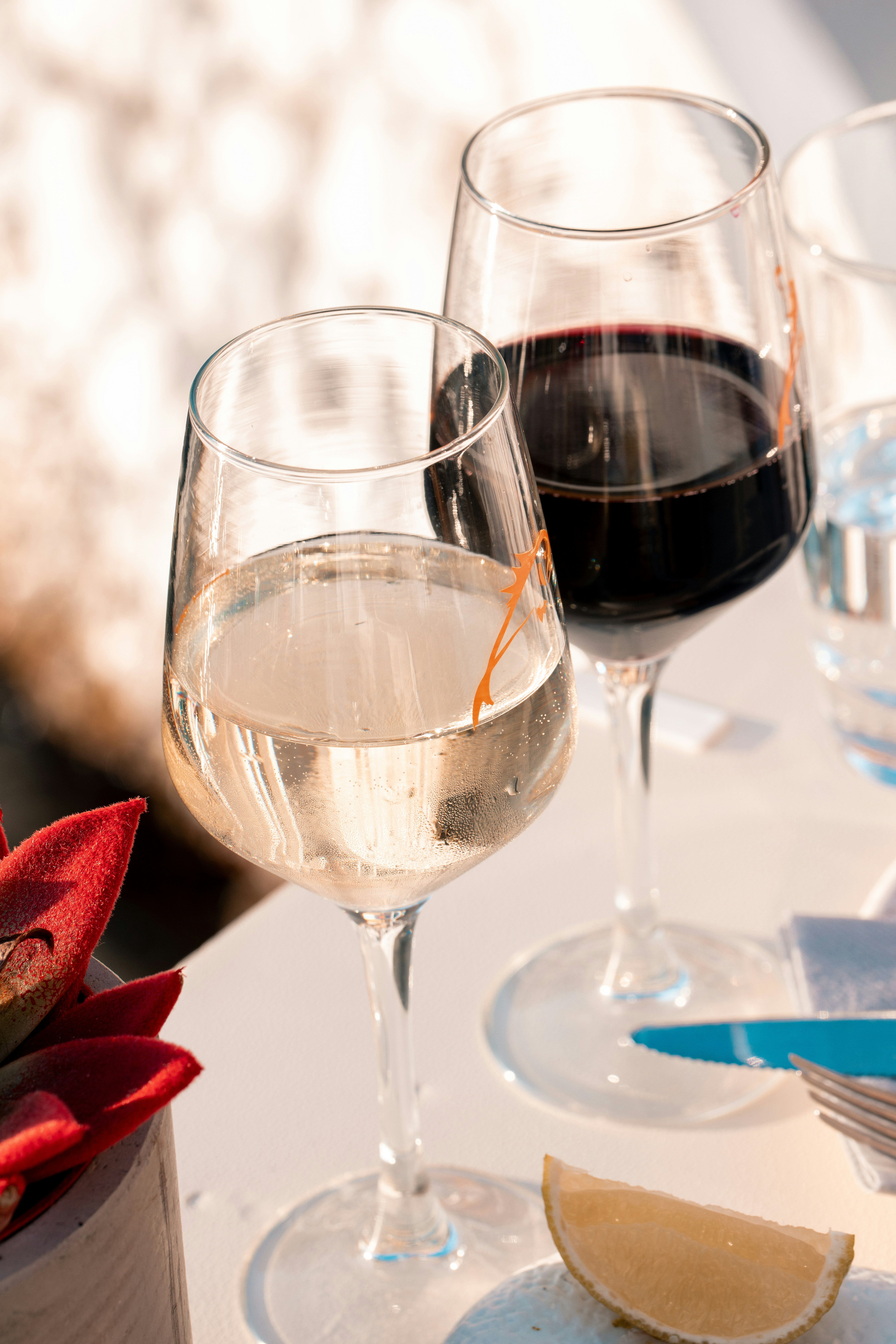 Wine Glass Ensemble: Crisp Whites and a Velvet Red