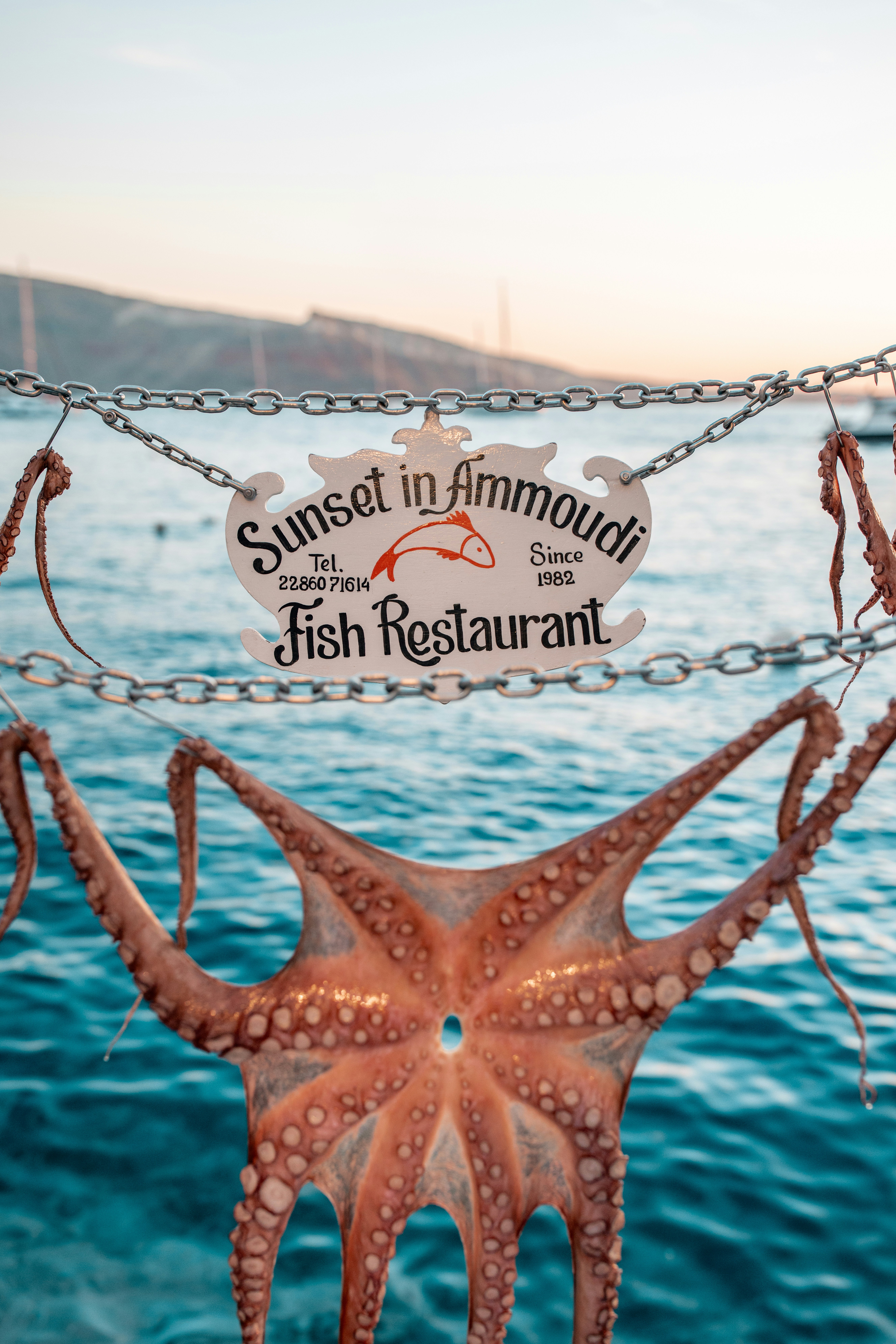 Sunset Sign and Starfish: Coastal Signage Framed by Ocean Embrace