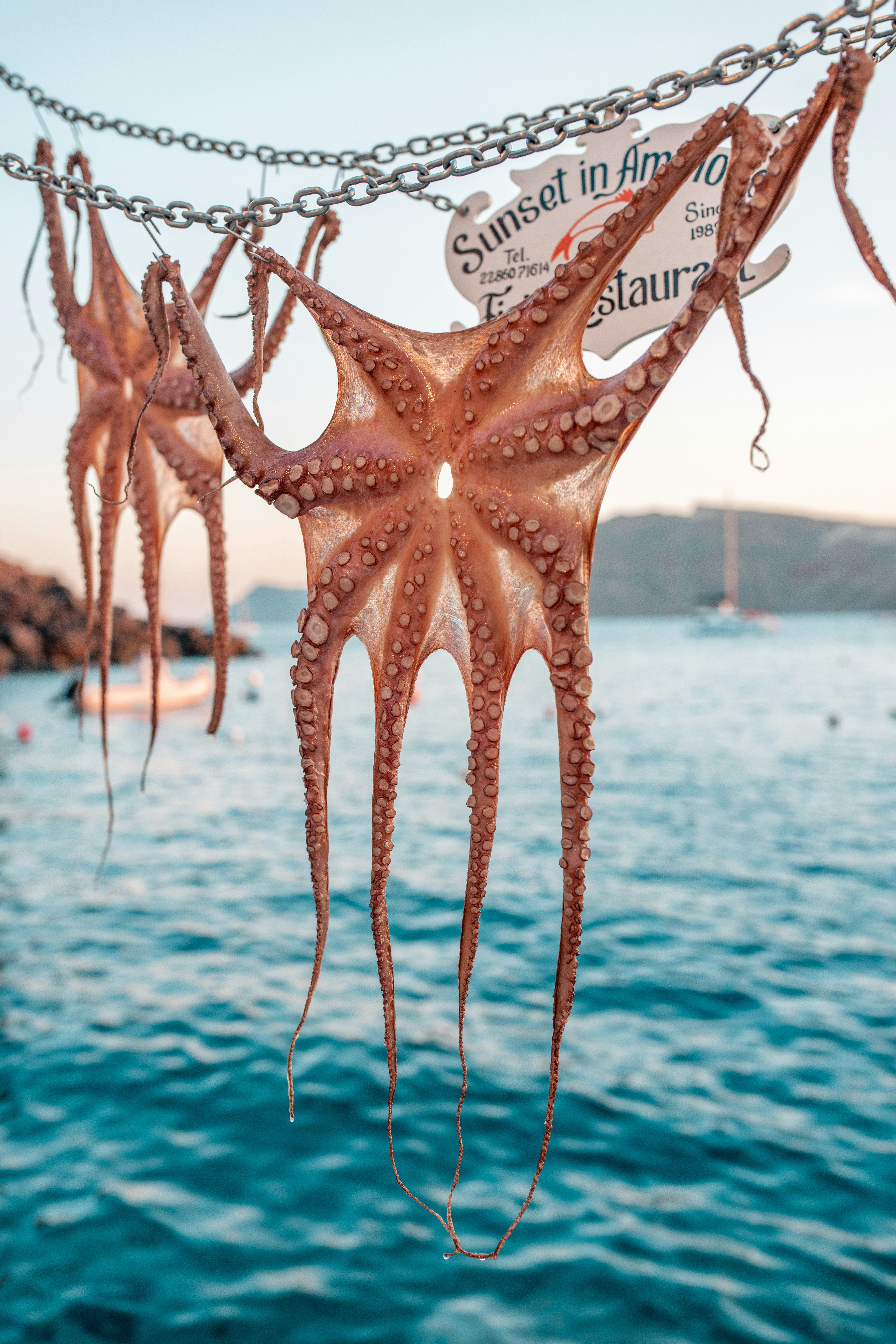 Sunset Star: A Pinkish Octopus Pendant by the Sea