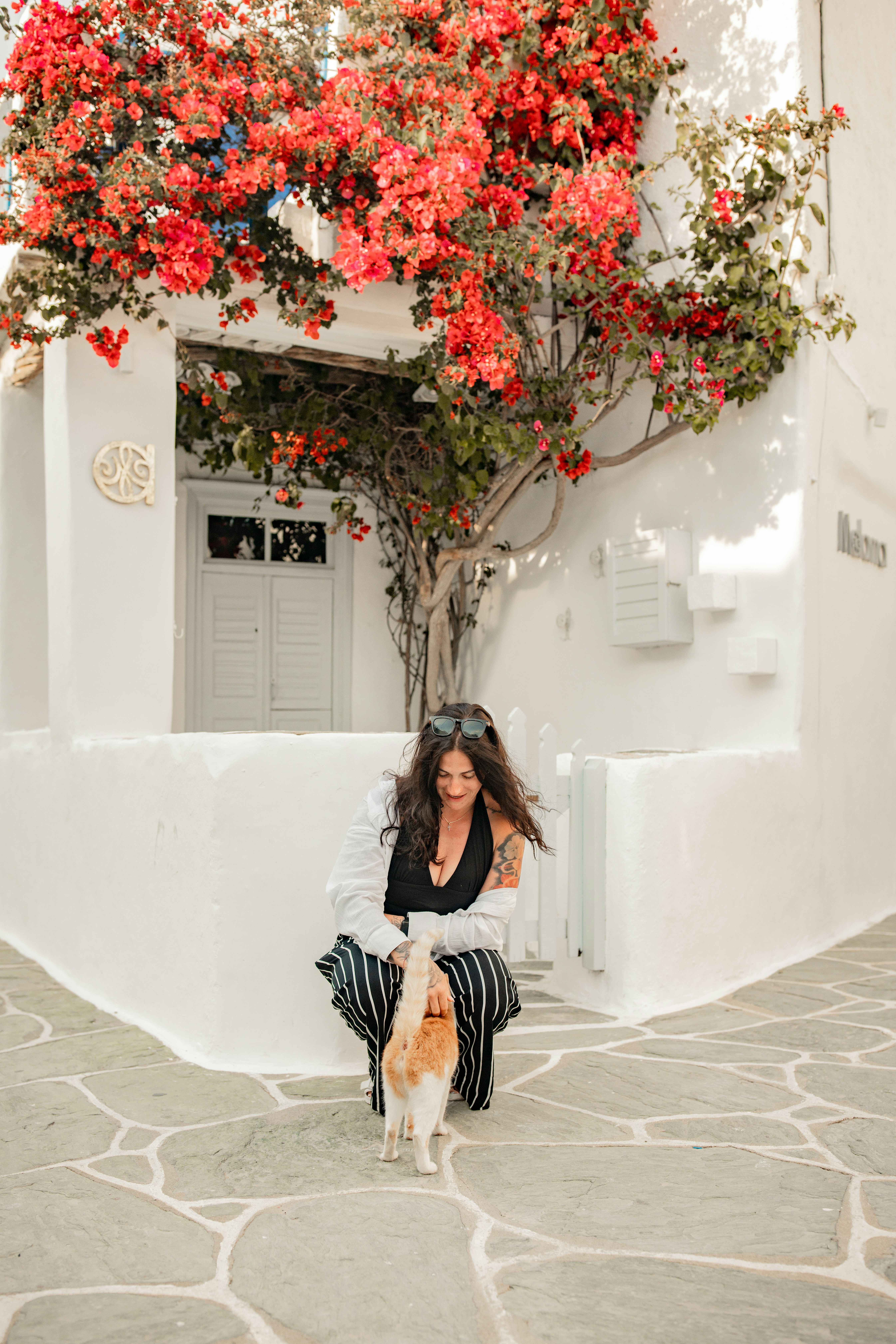 Girlfriend in White Walks a Cat Through a sunlit Santorini-inspired Lane