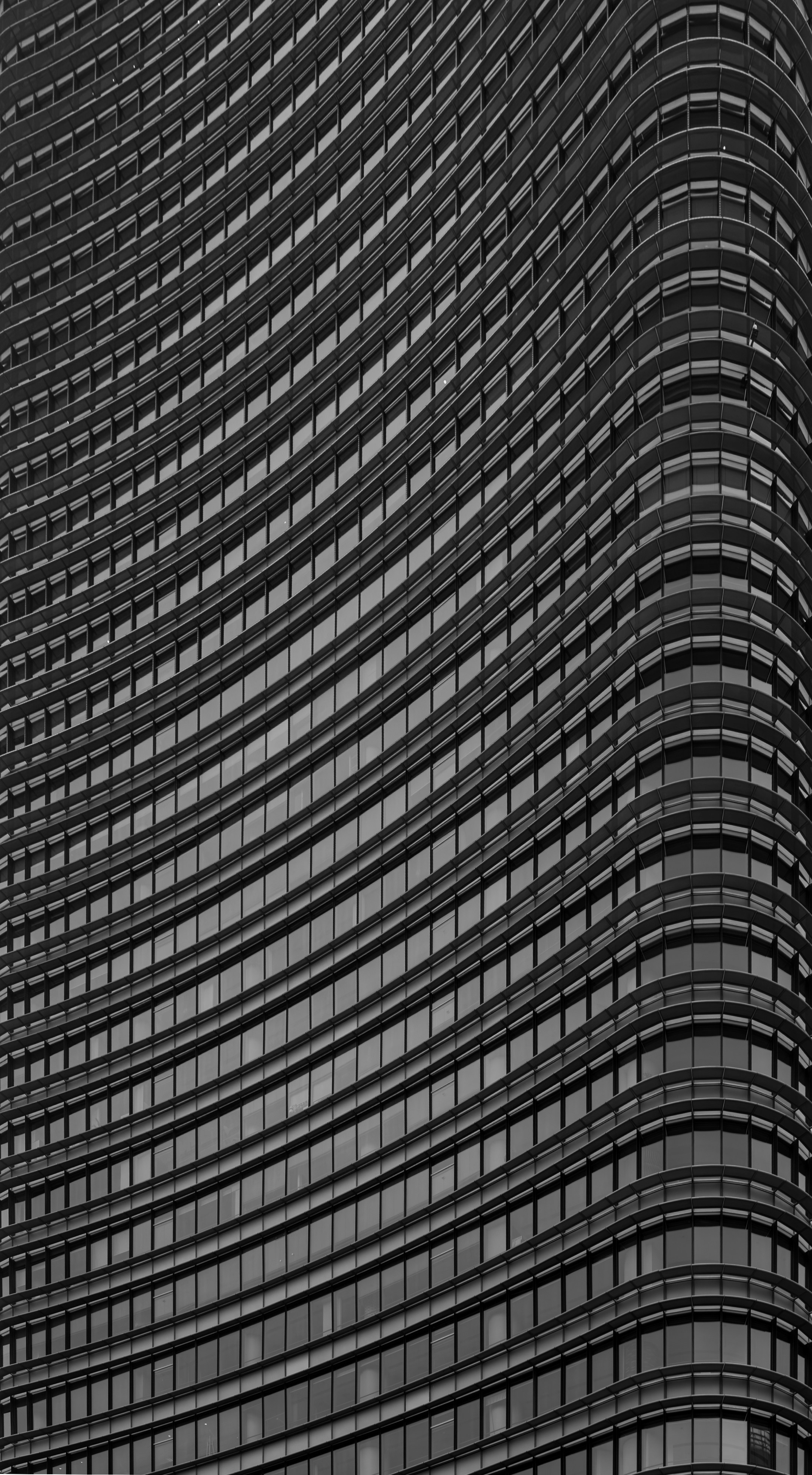 Waves of Glass: A Curved Facade in Monochrome Rhythm
