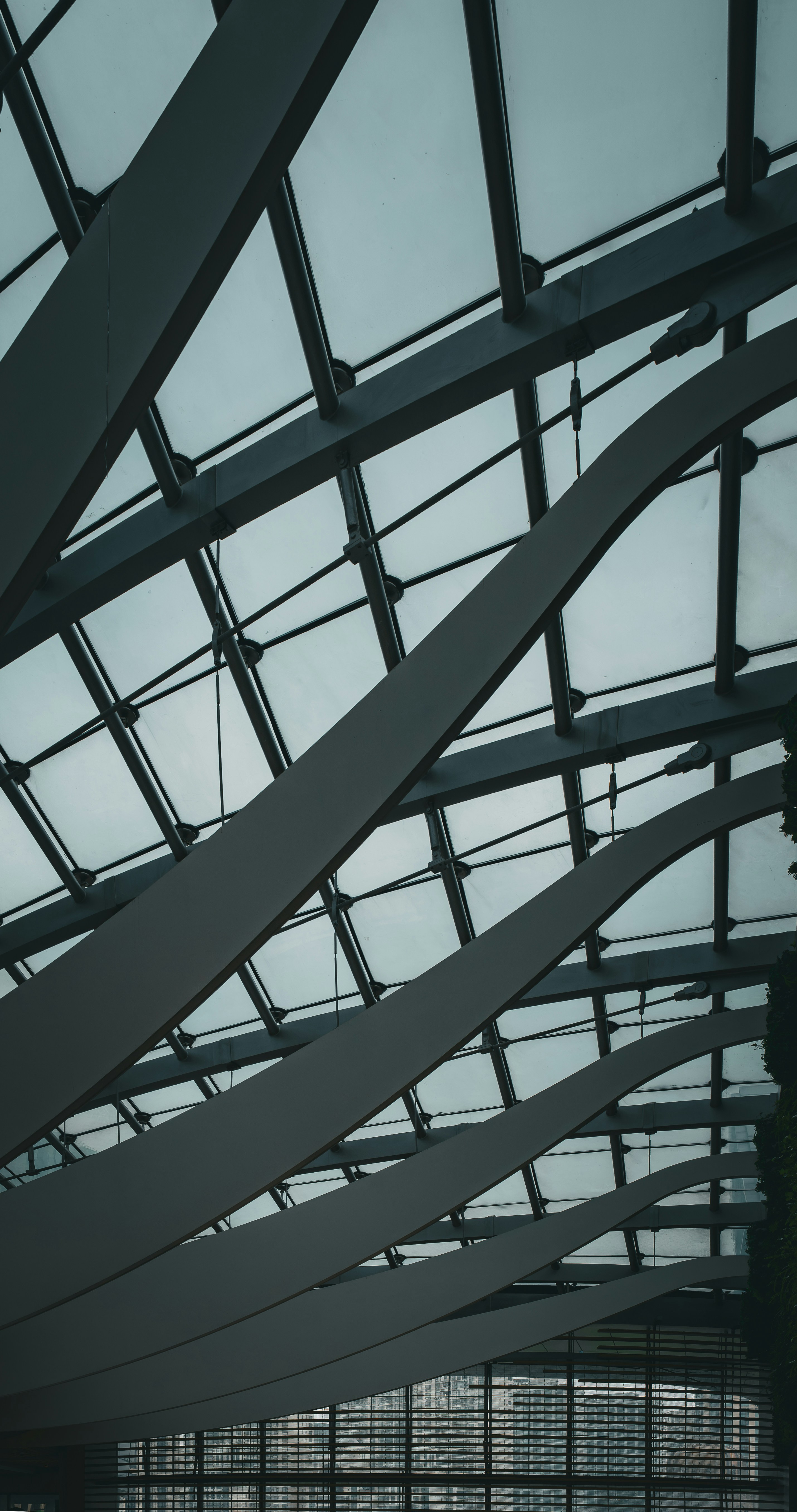 Curved Steel Arches Carve Light Through a Glass Ceiling