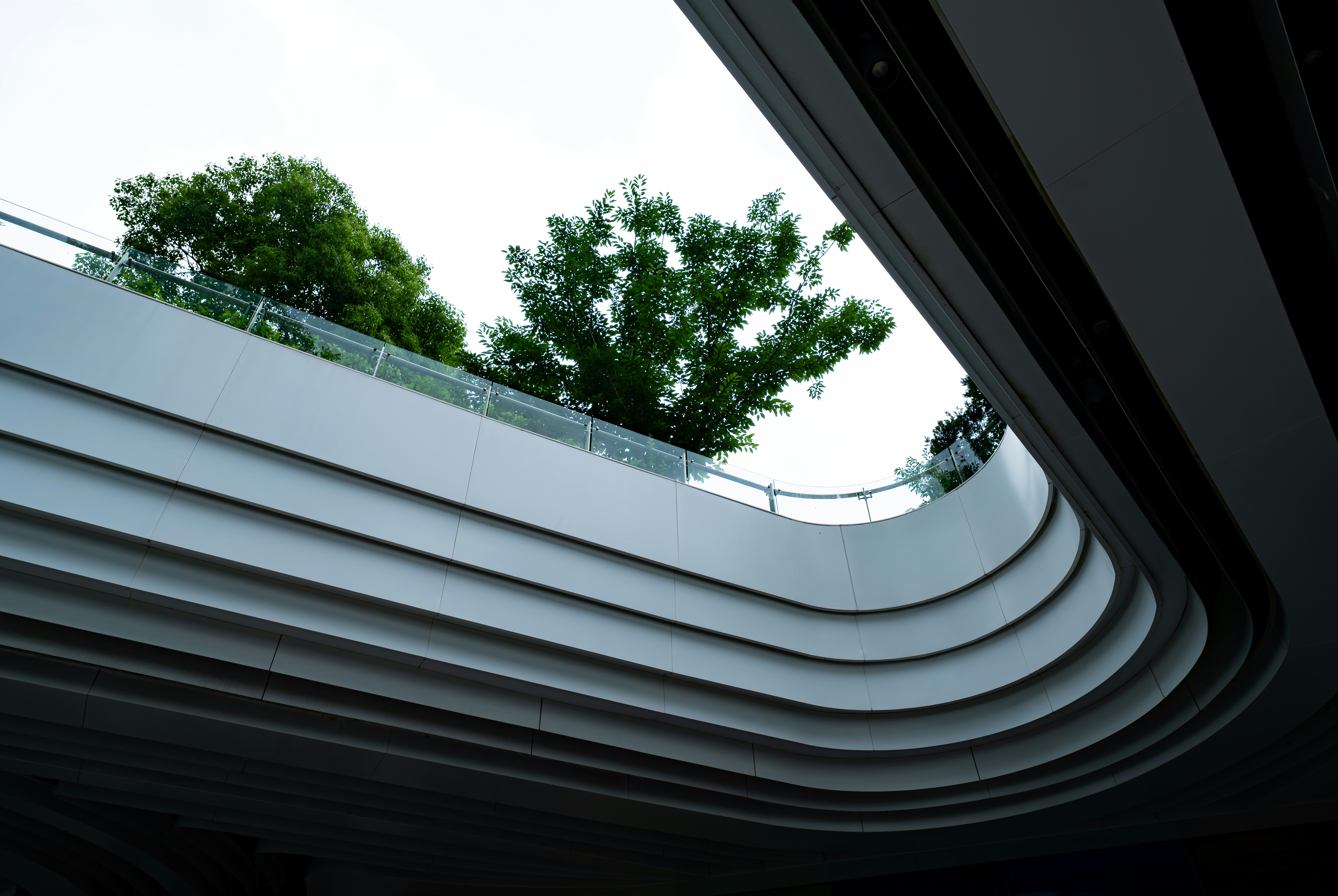 Curved Concrete Echoes: A Horizon of Balconies and Trees