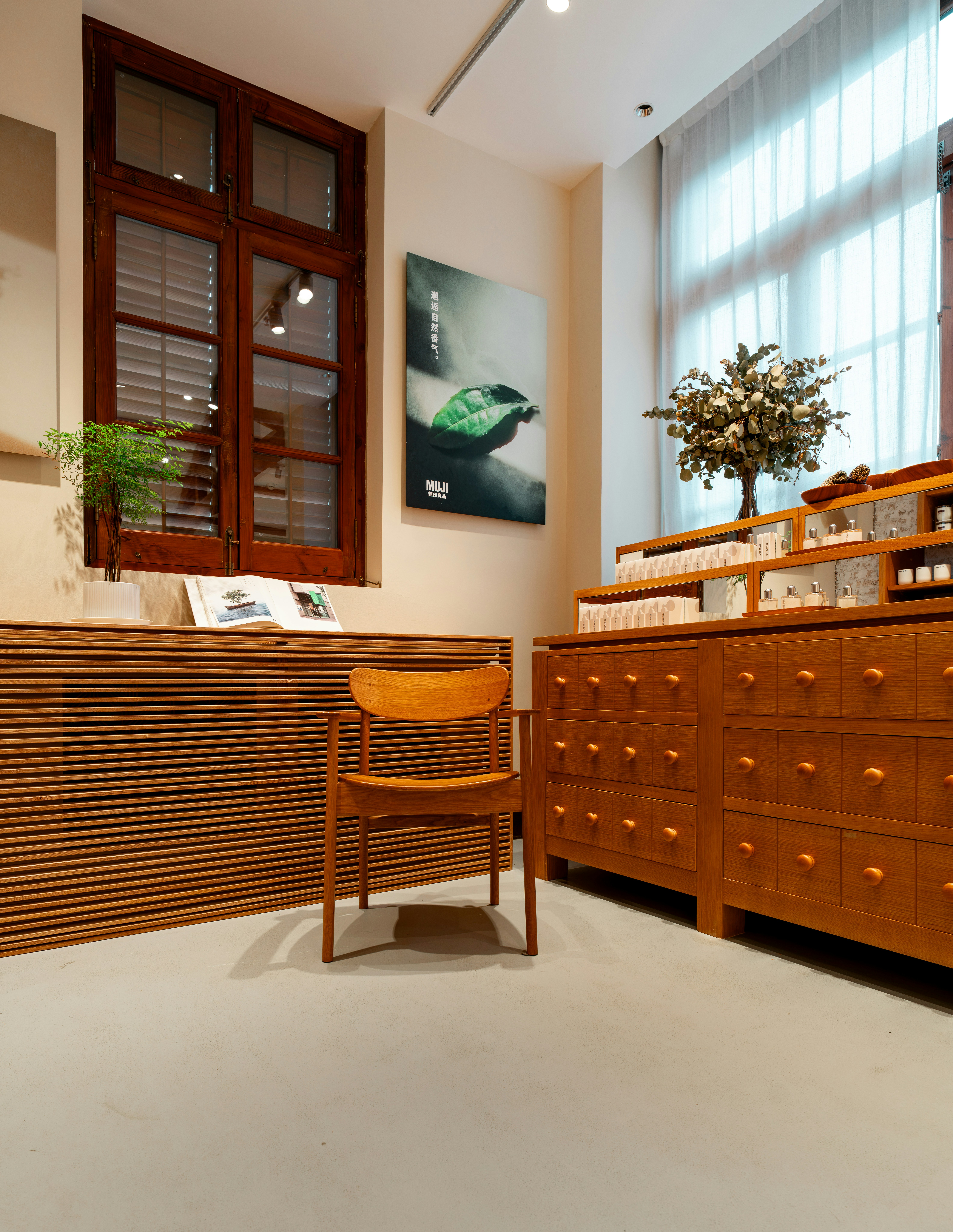 Mid-Century Calm: Wooden Furnishings and Soft Natural Light in a Studio Corner