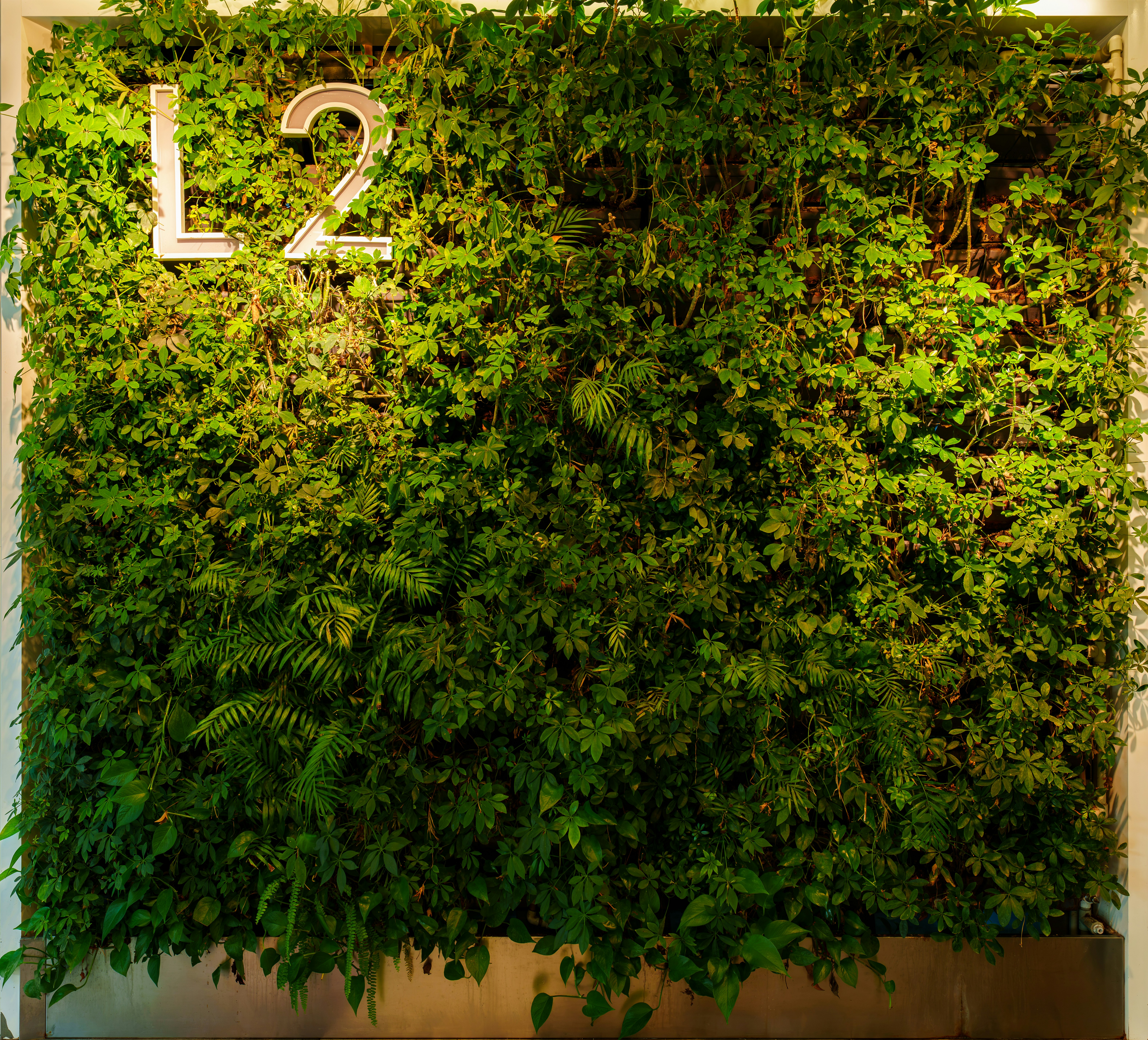 Lush Green Lattice: A Living Wall Framing the Letters L2