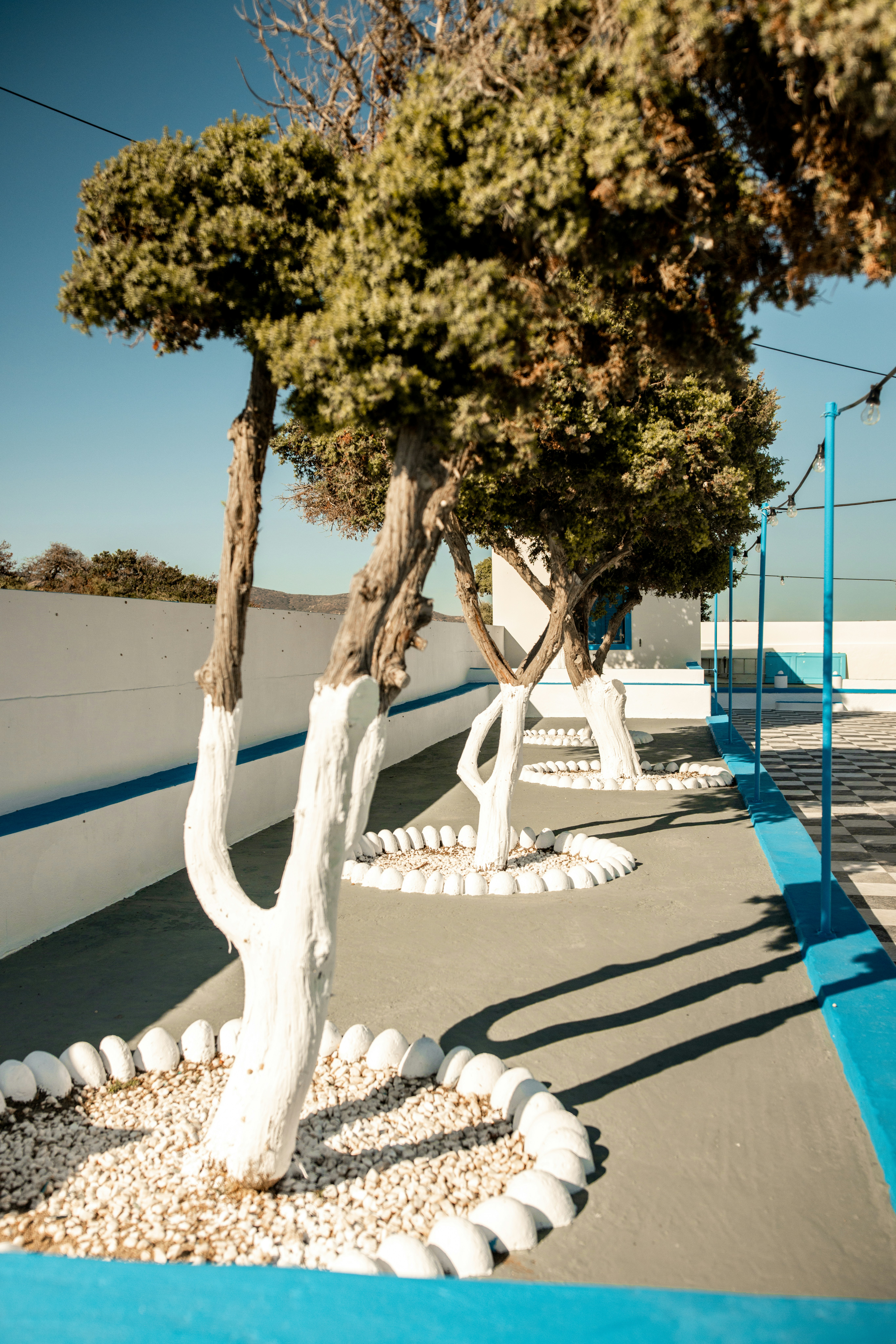 Colonnaded Tranquility: Painted trunks and azure shadows