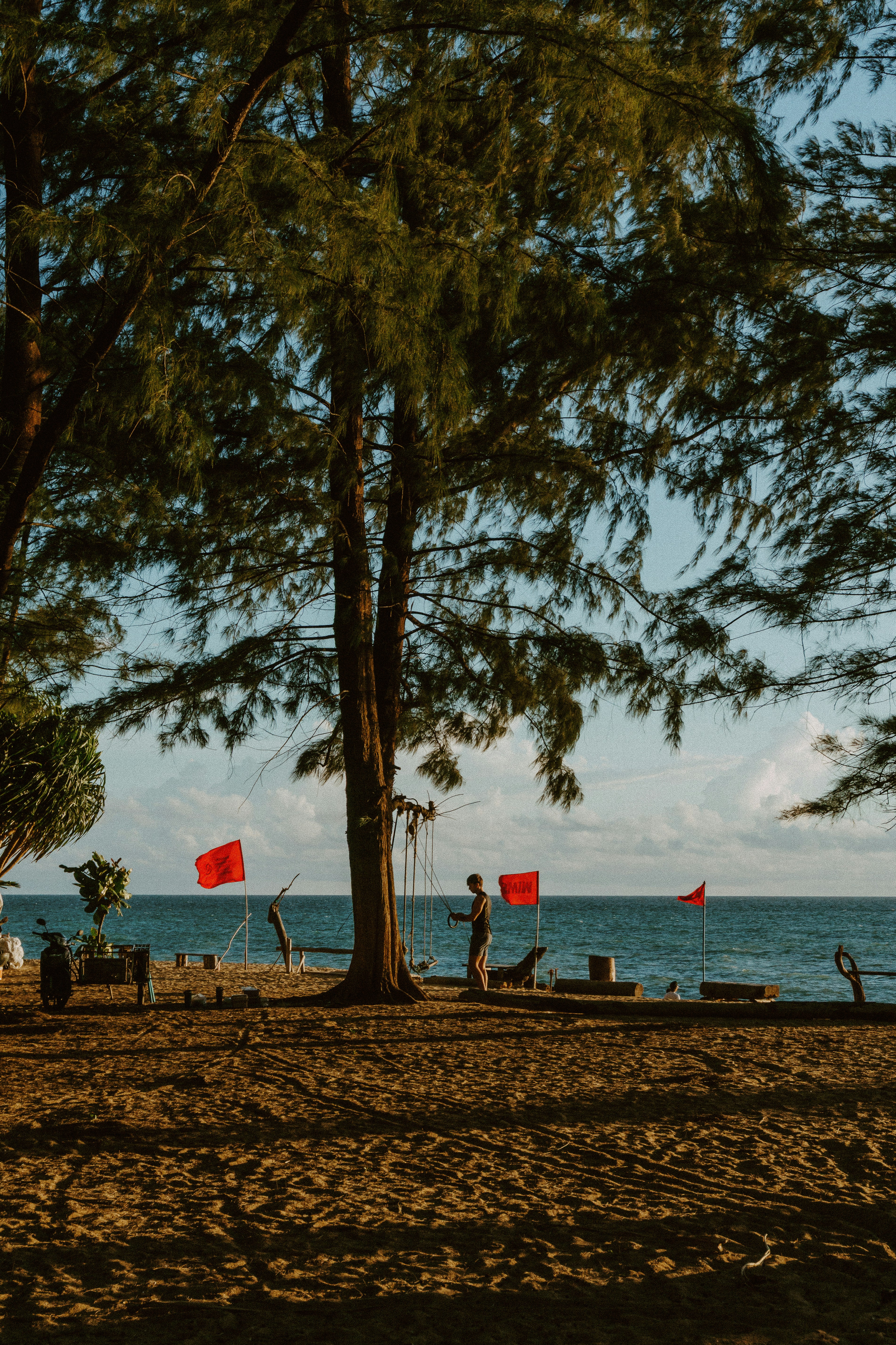 Red Flags and a Seaside Moment Under Dappled Canopy