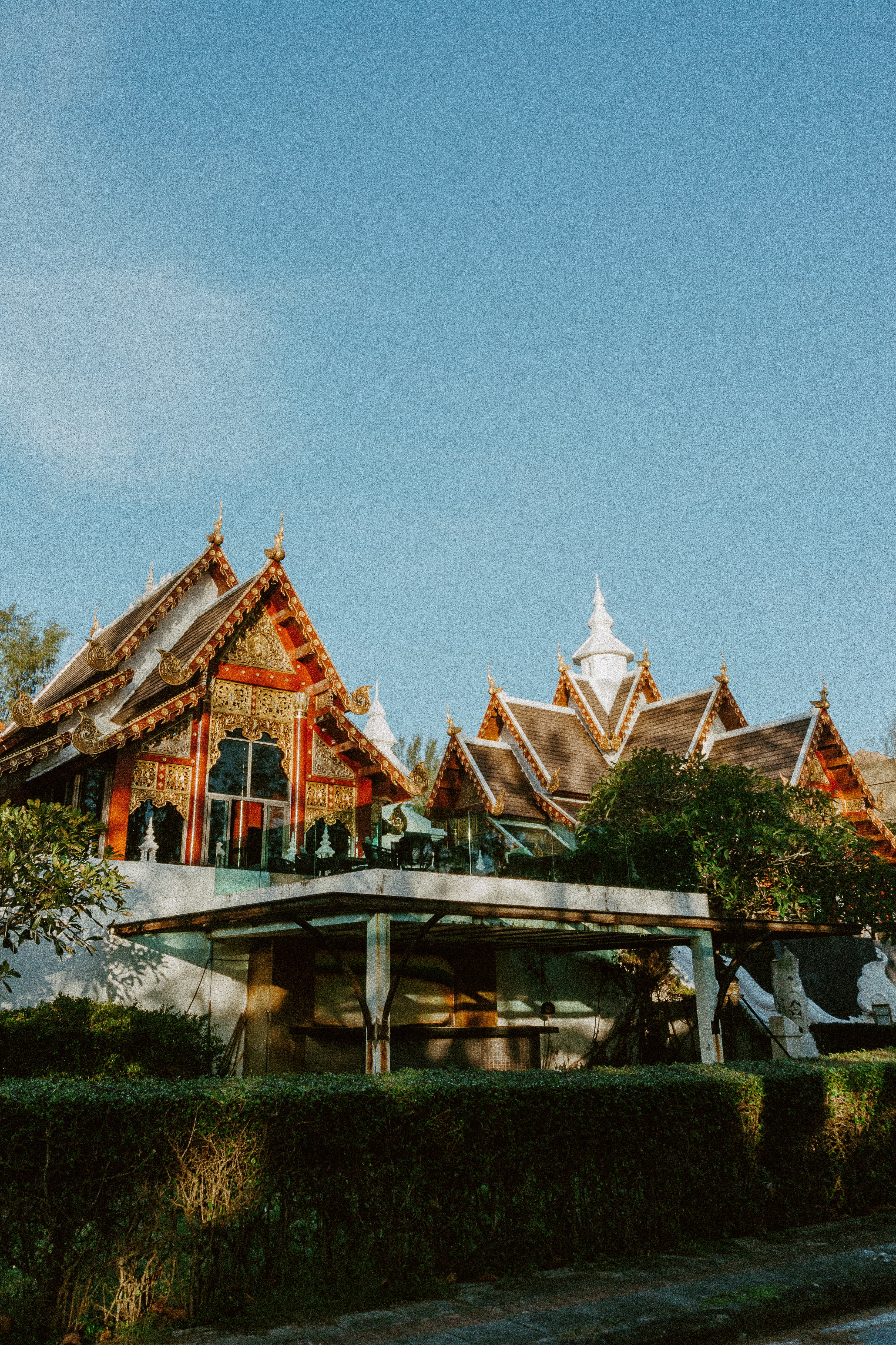 Golden Temple Eaves: A Thai-Thai Roofline Above the Hedge