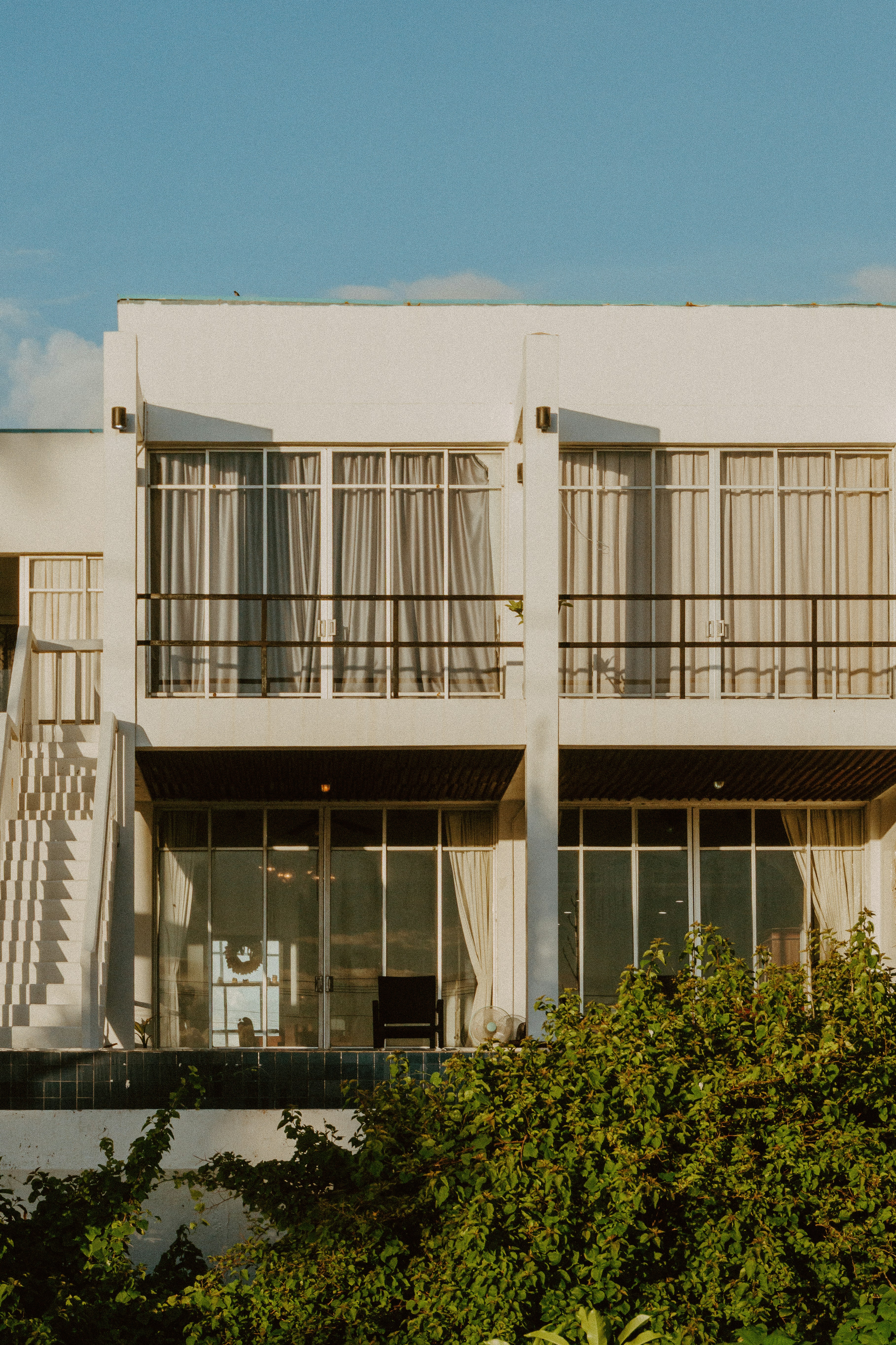 Mid-Century Modern Facade Behind Lush Greenery