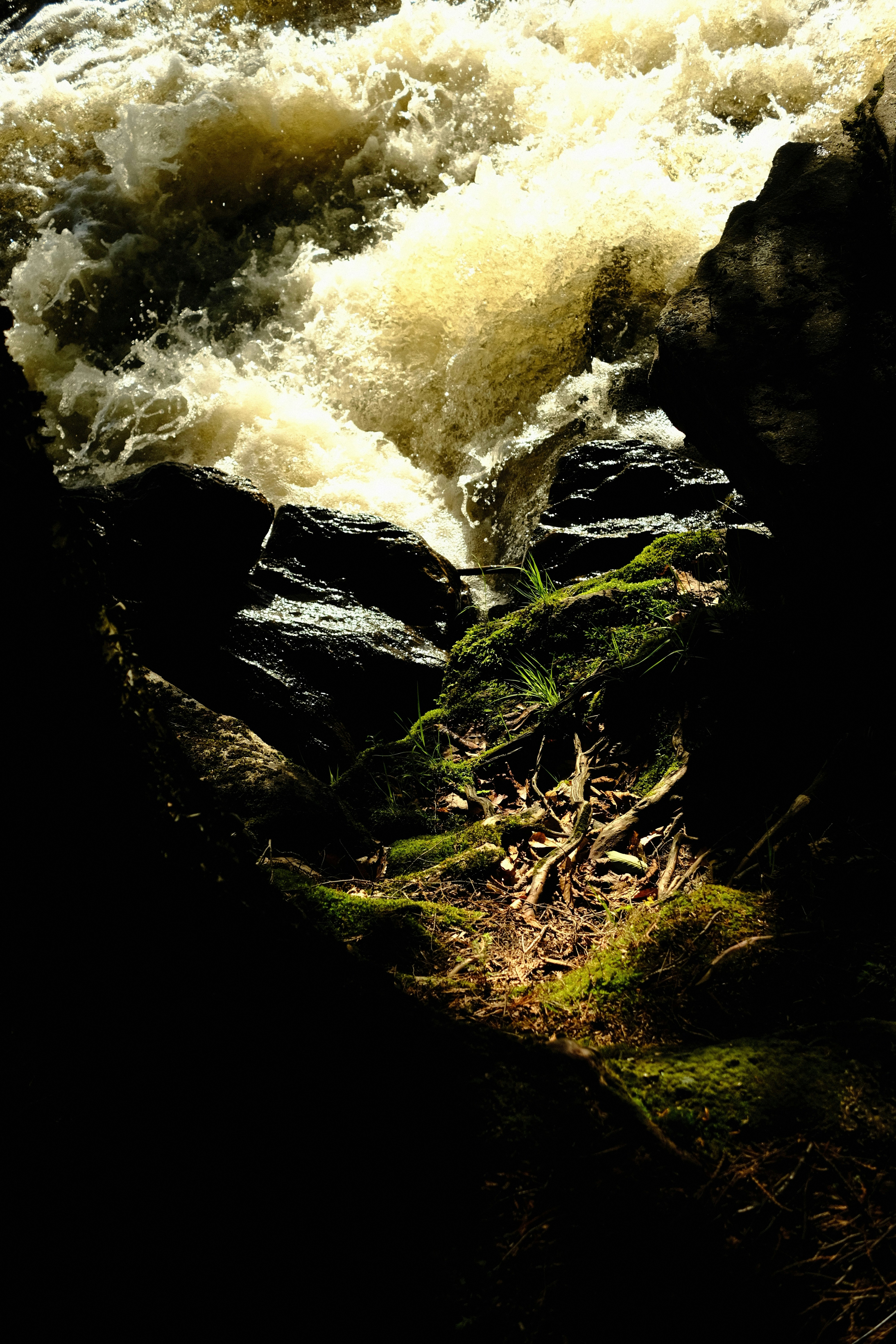Rushing Torrent Between Dark Encounters