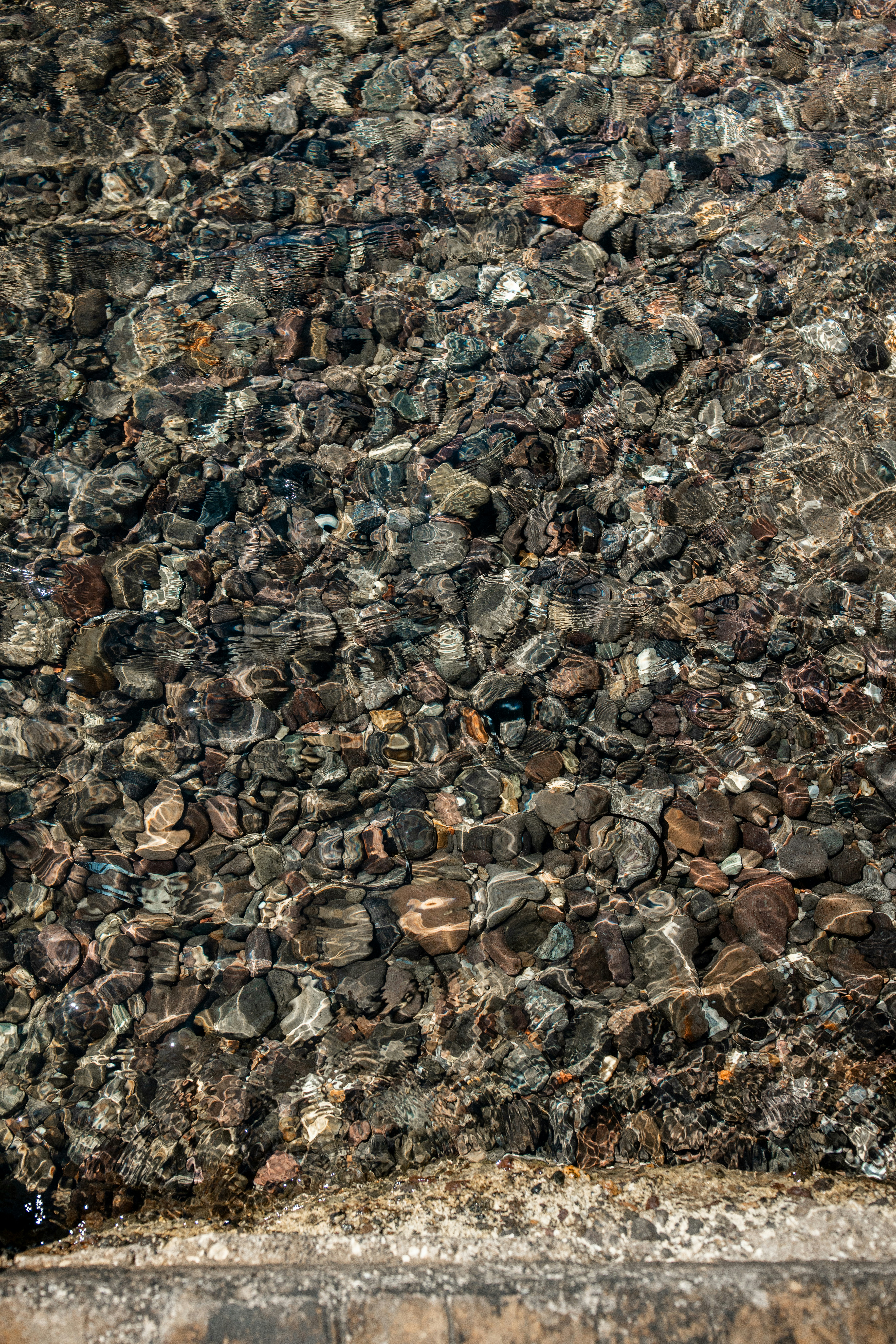 Pebble Mosaic at the Edge of Clear Water