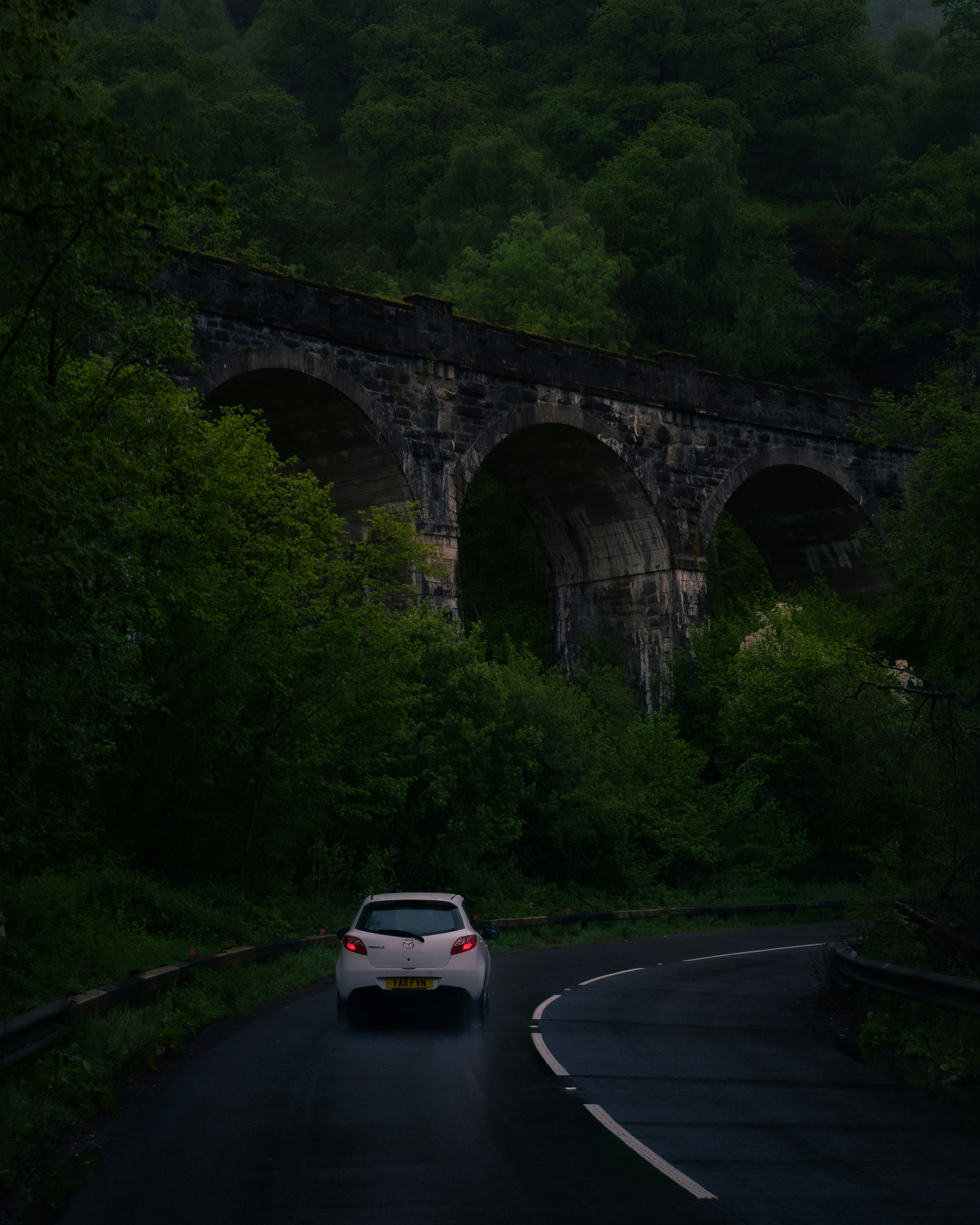 Moonlit Drive Beneath the Arched Veil