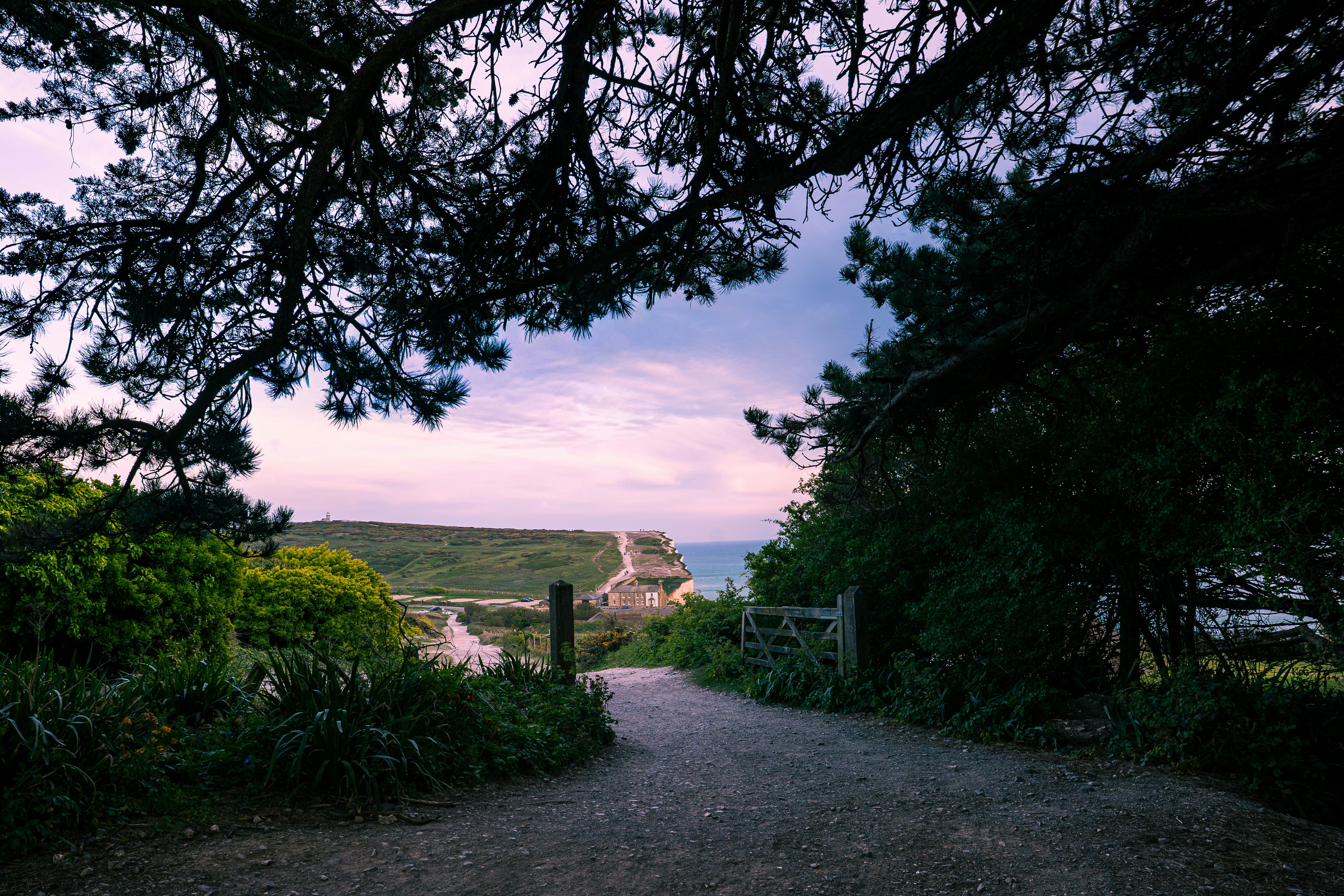 Coastal Path Framing Toward the Distant Cliff Walk