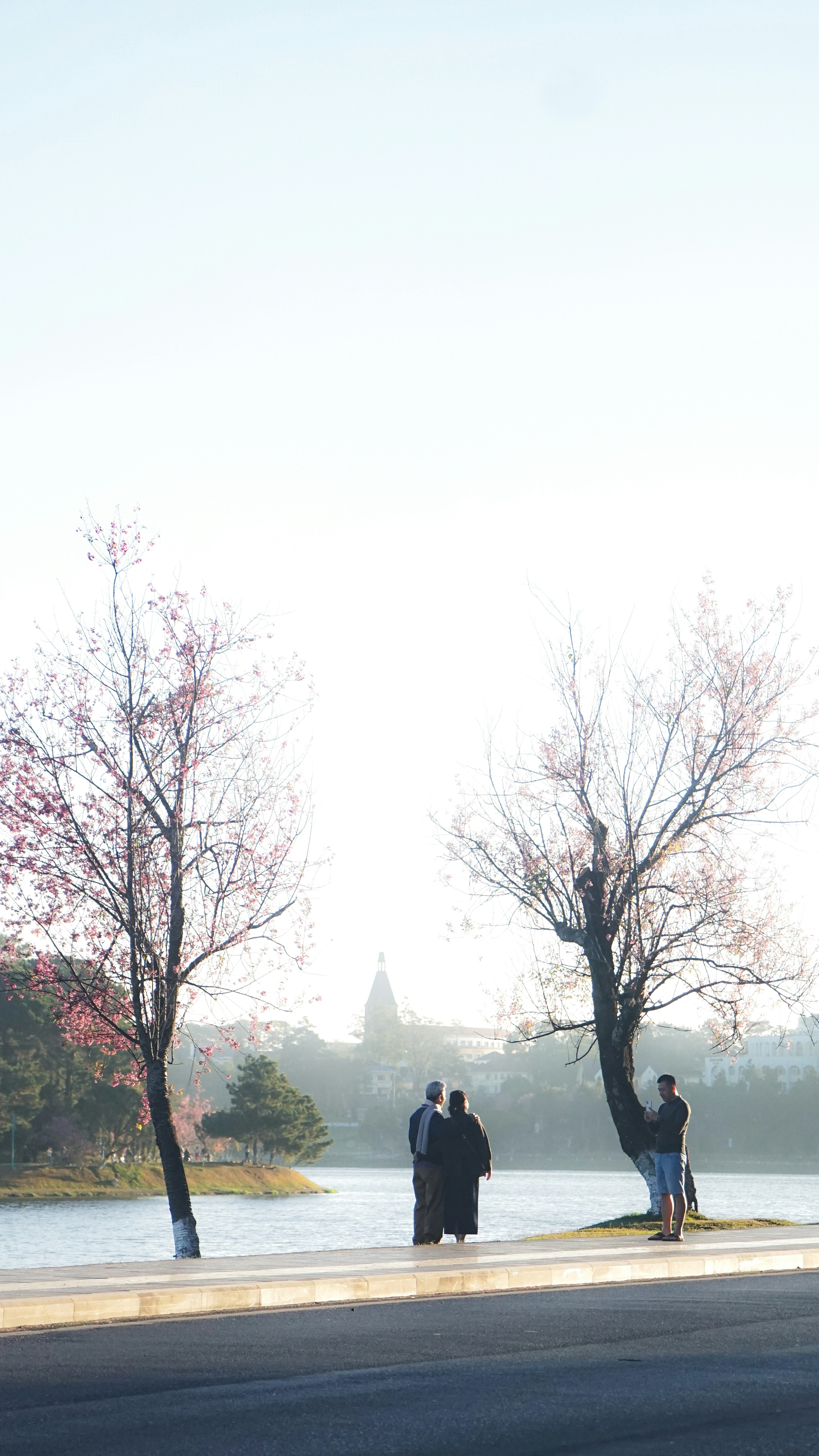 Soft Dawn by the Lake: Lovers and a Skyward Tree