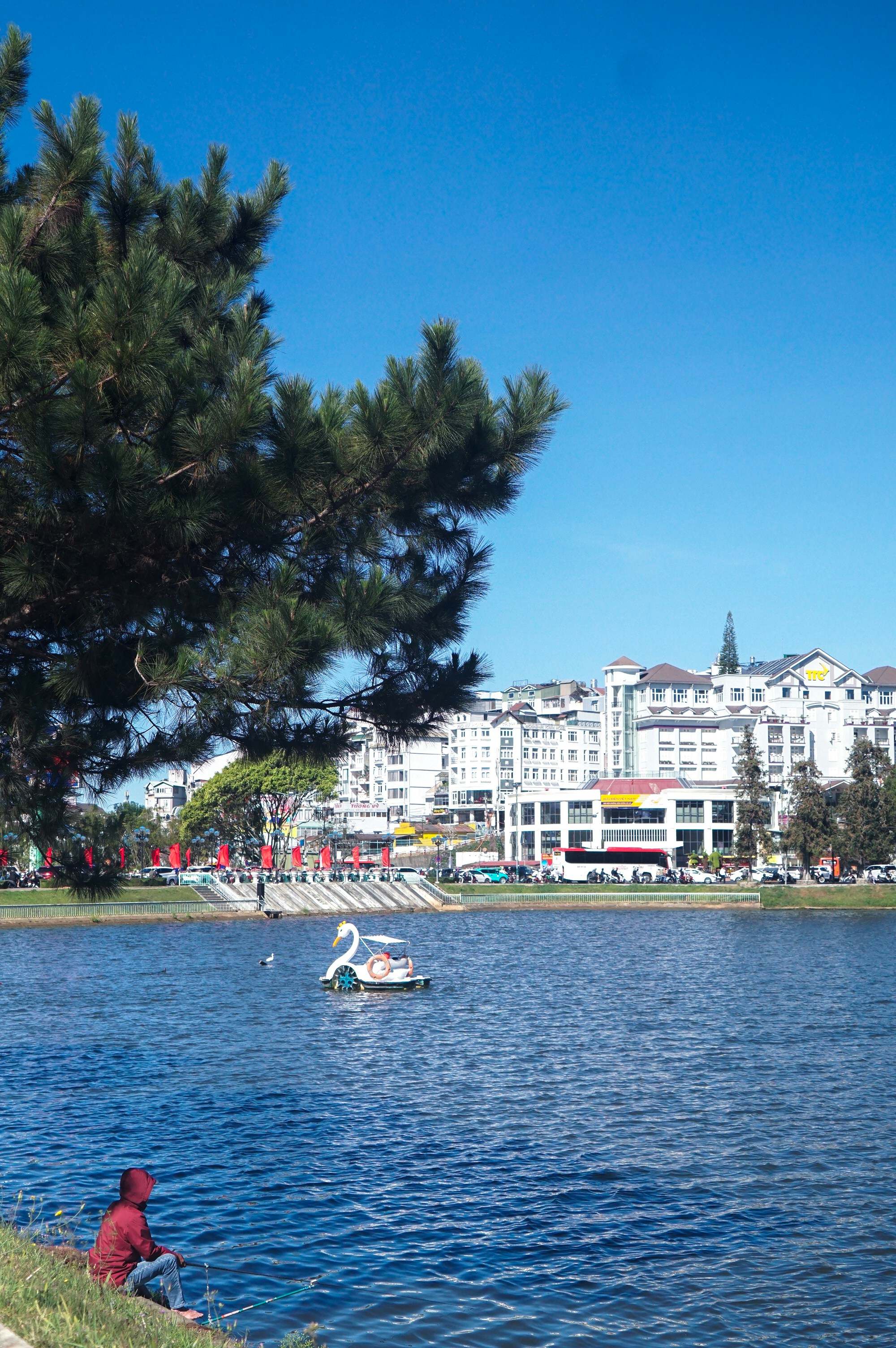 City by the Lake: Pedestrian Red Umbrellas and Swan Boat Wake