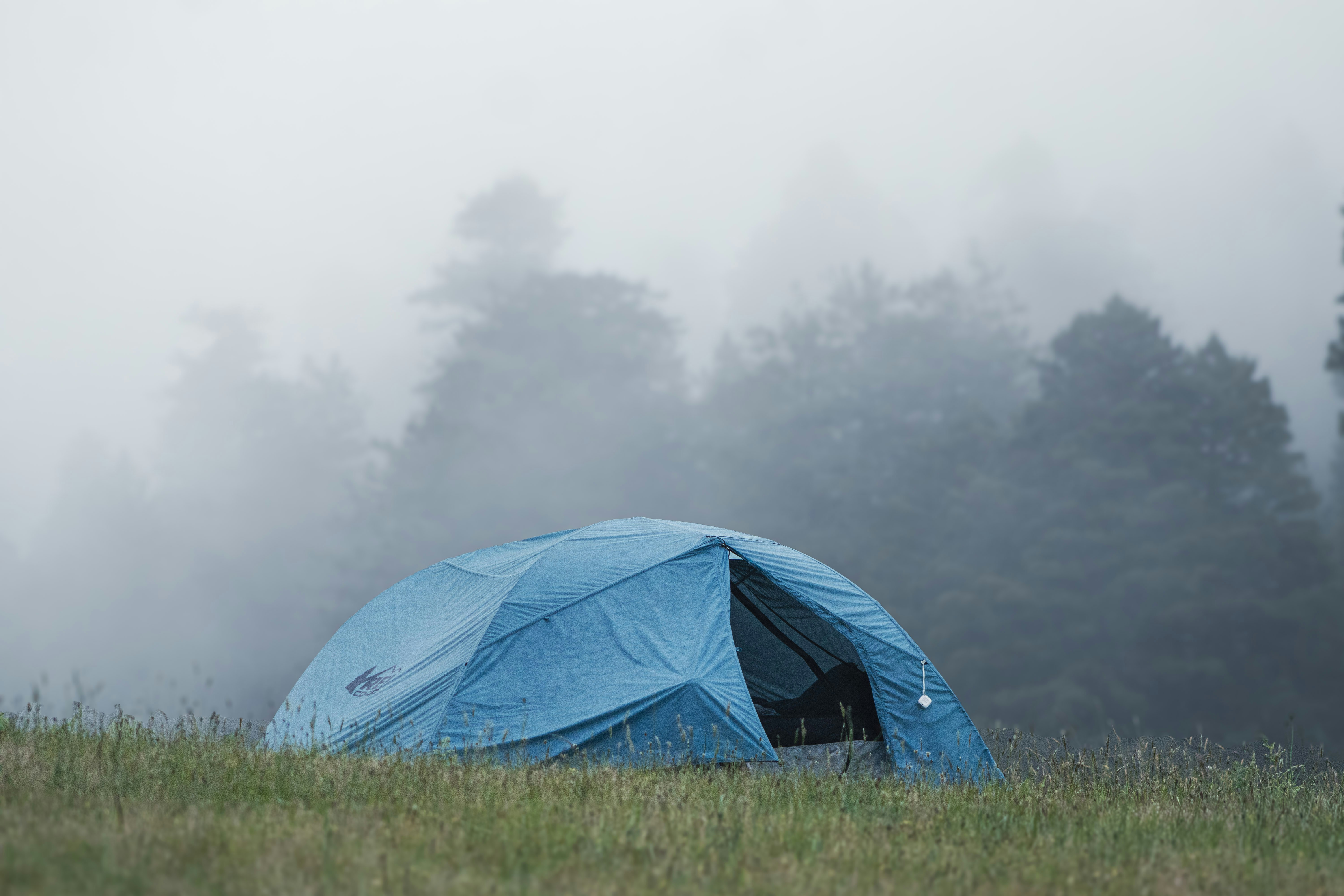 Mist-Washed Camp: A Blue Tent Emerges from the Quiet Field