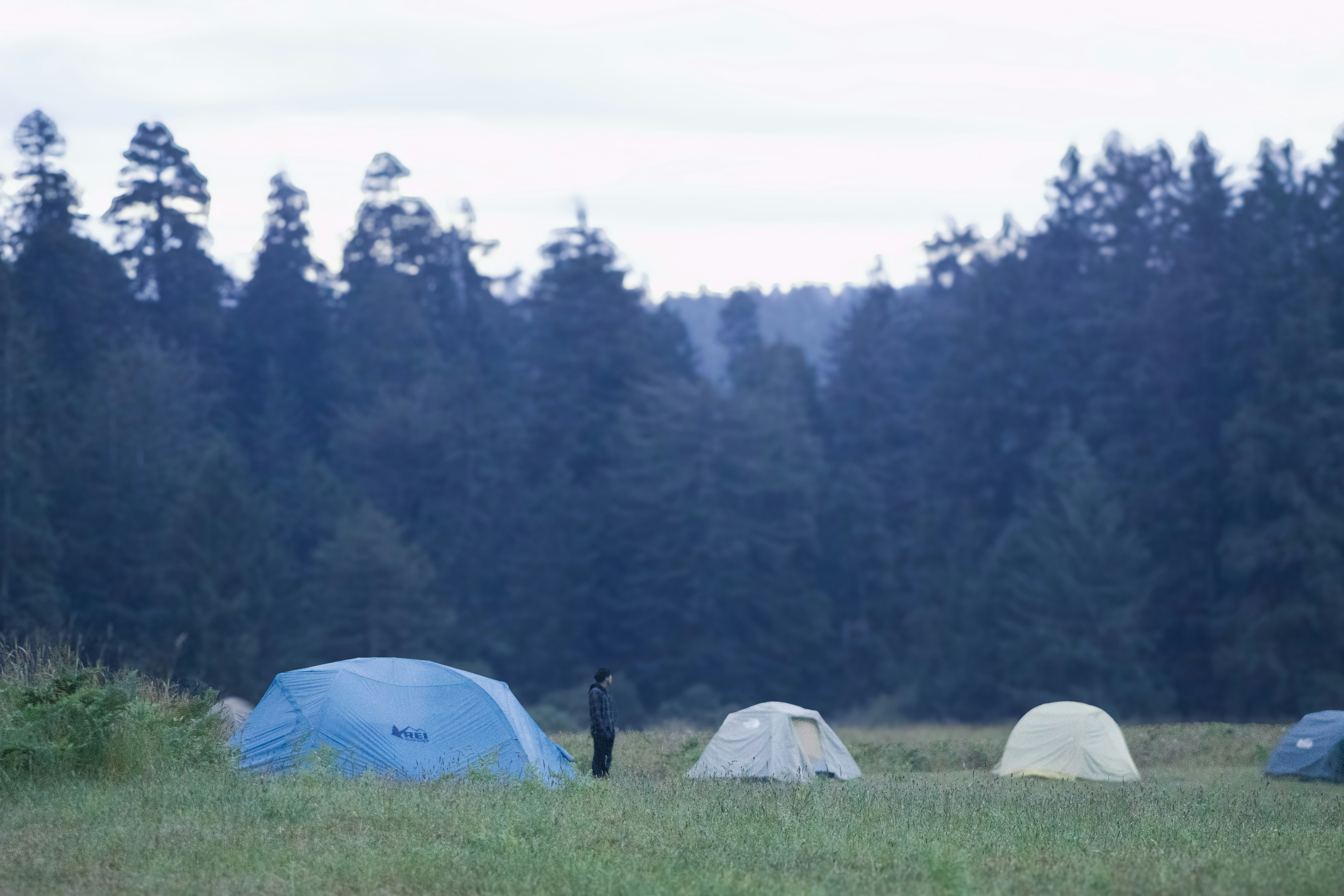 Quiet Campground Under a Distant Pine Ridge
