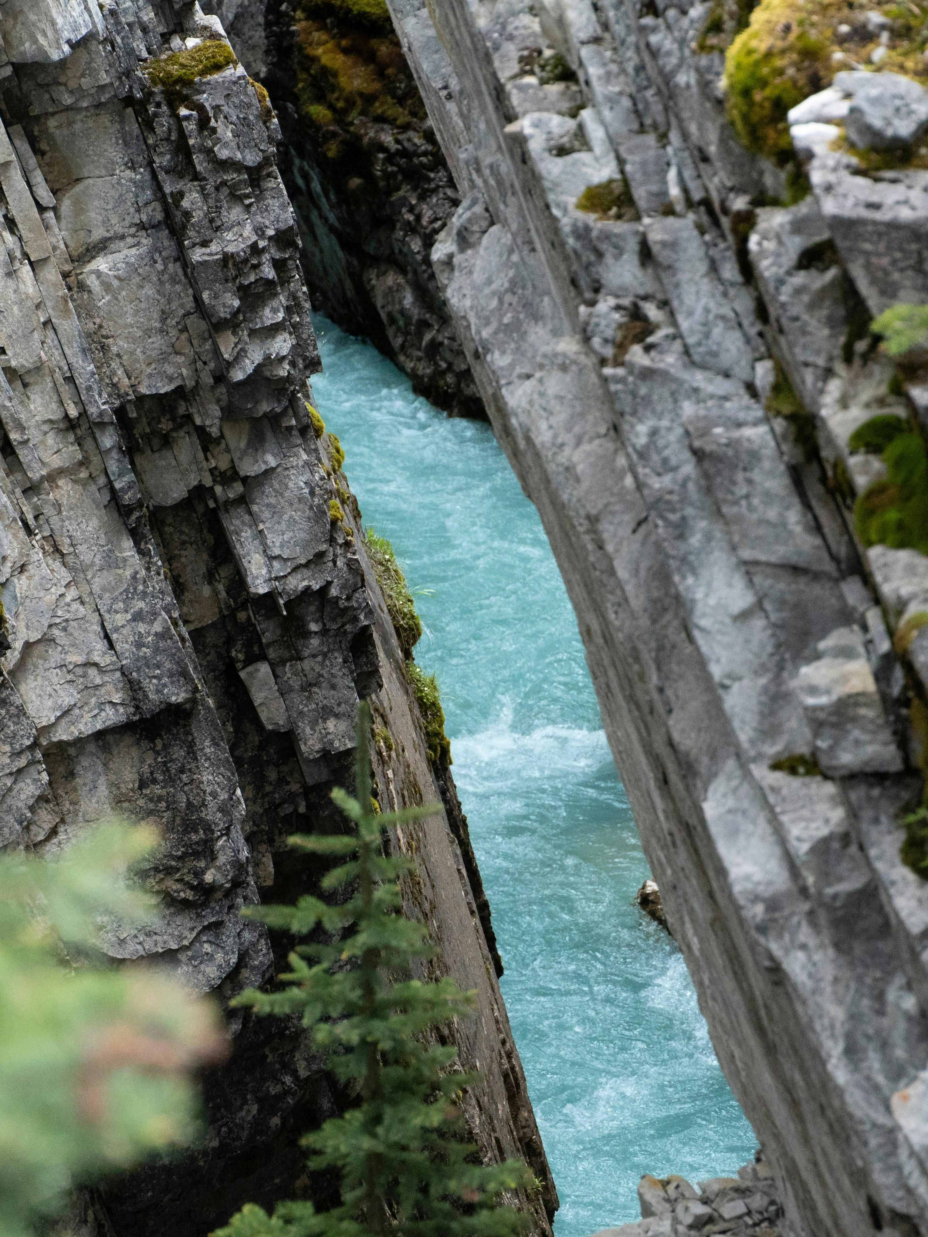 Turquoise river carving a moonlit chasm between basalt walls