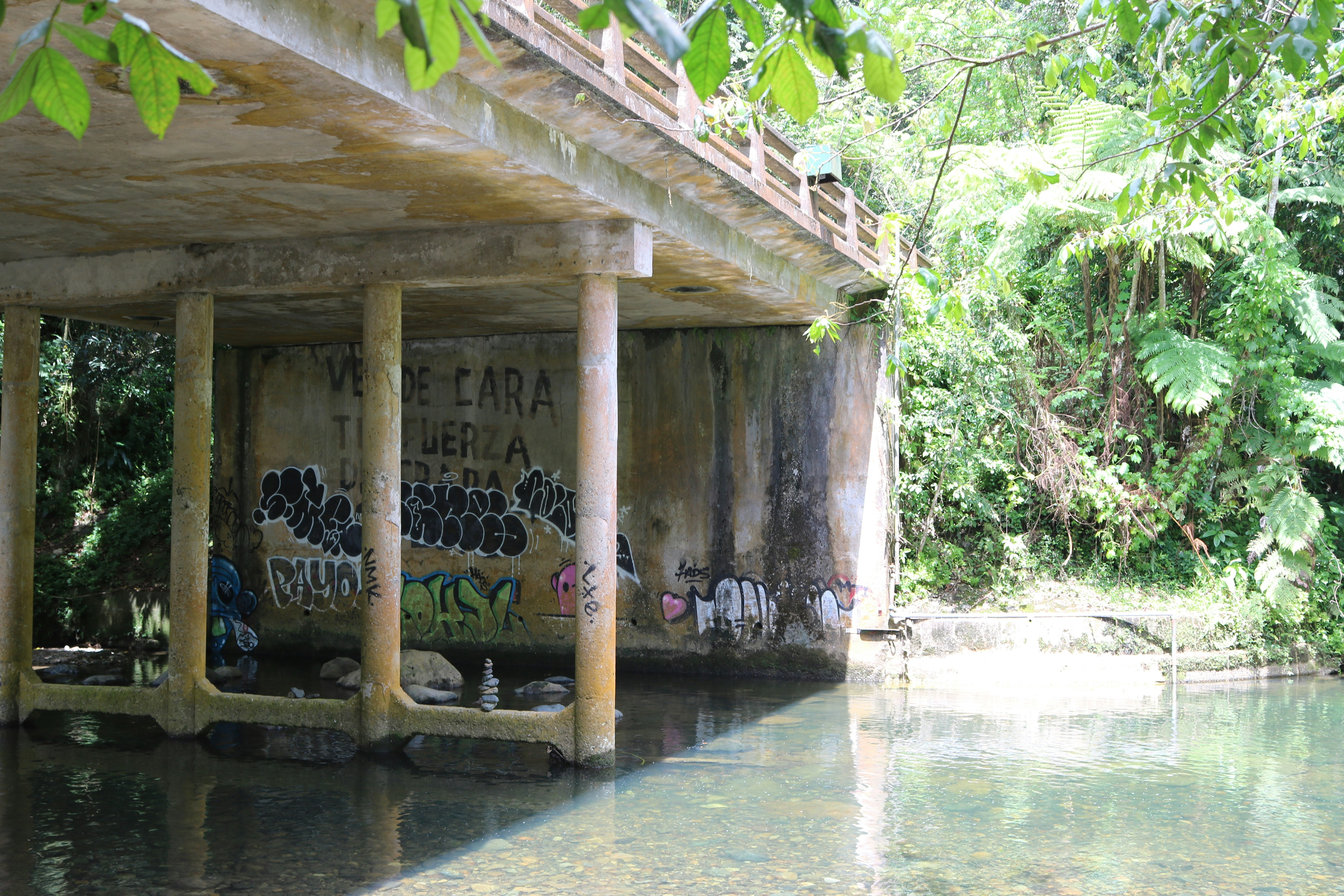 Graffiti Underpass Beneath a Concrete Bridge