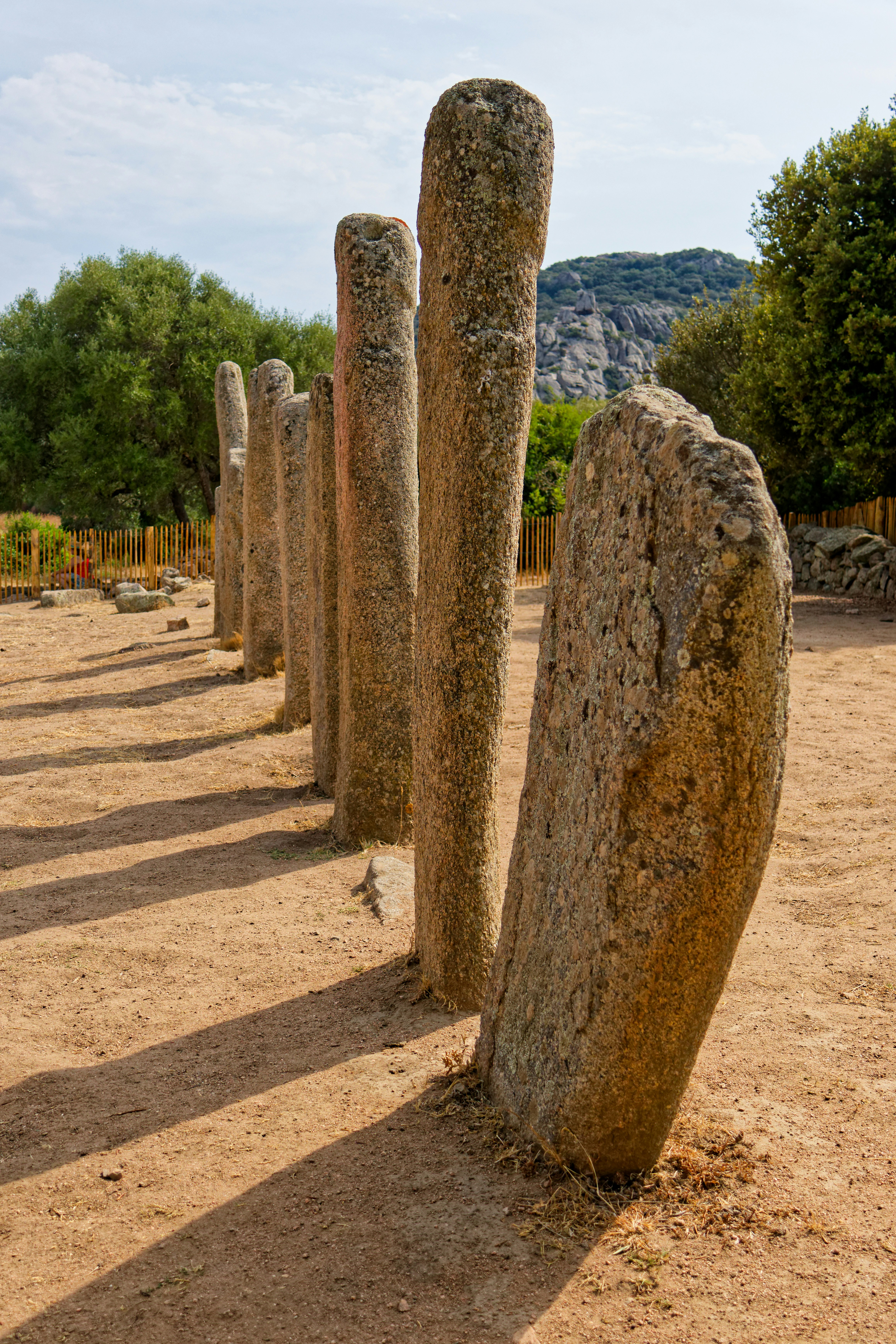 Stone sentinels marching toward the horizon