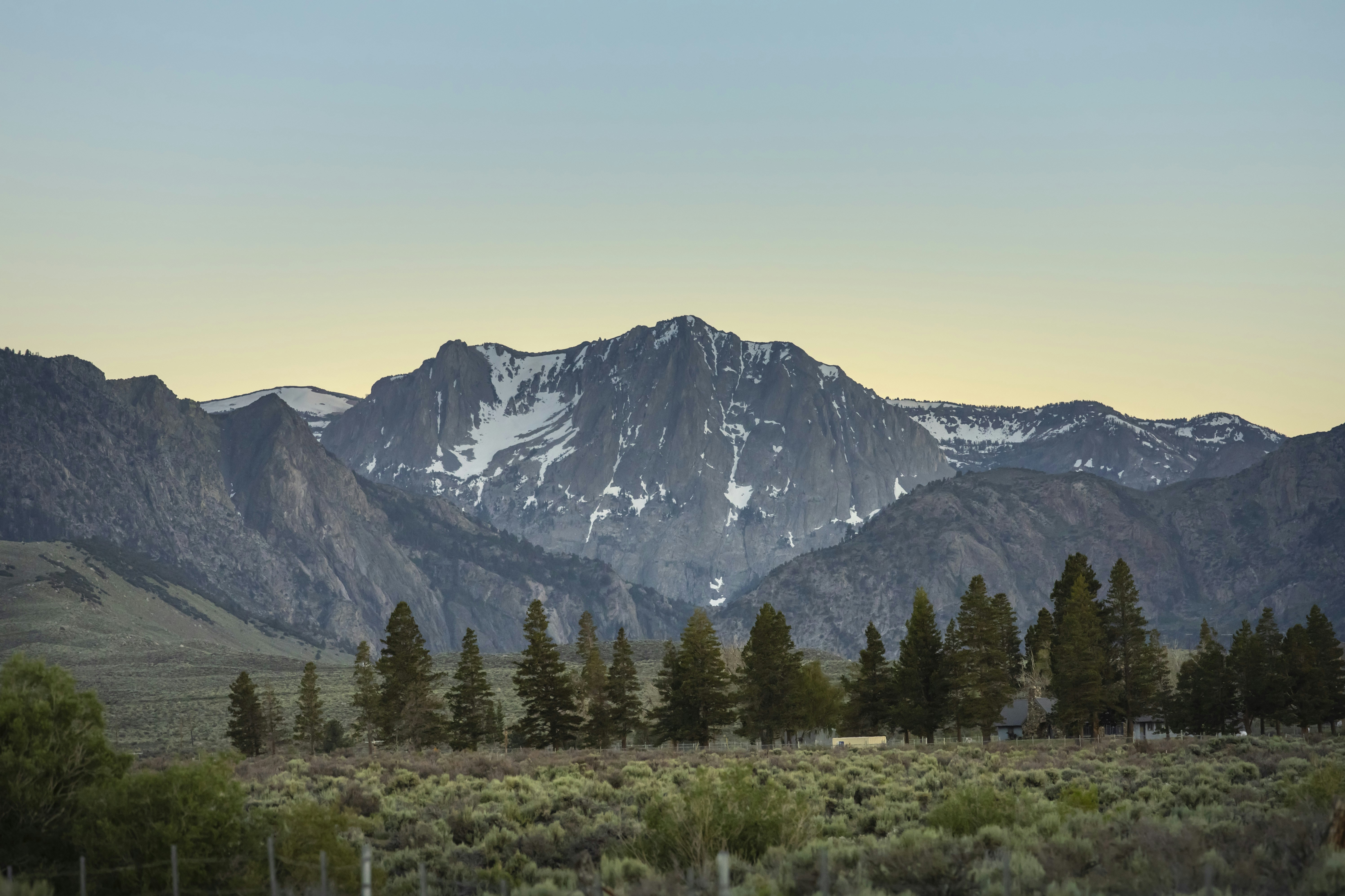 Snow-capped Peak Crowned by Dawn, Framed by Pines