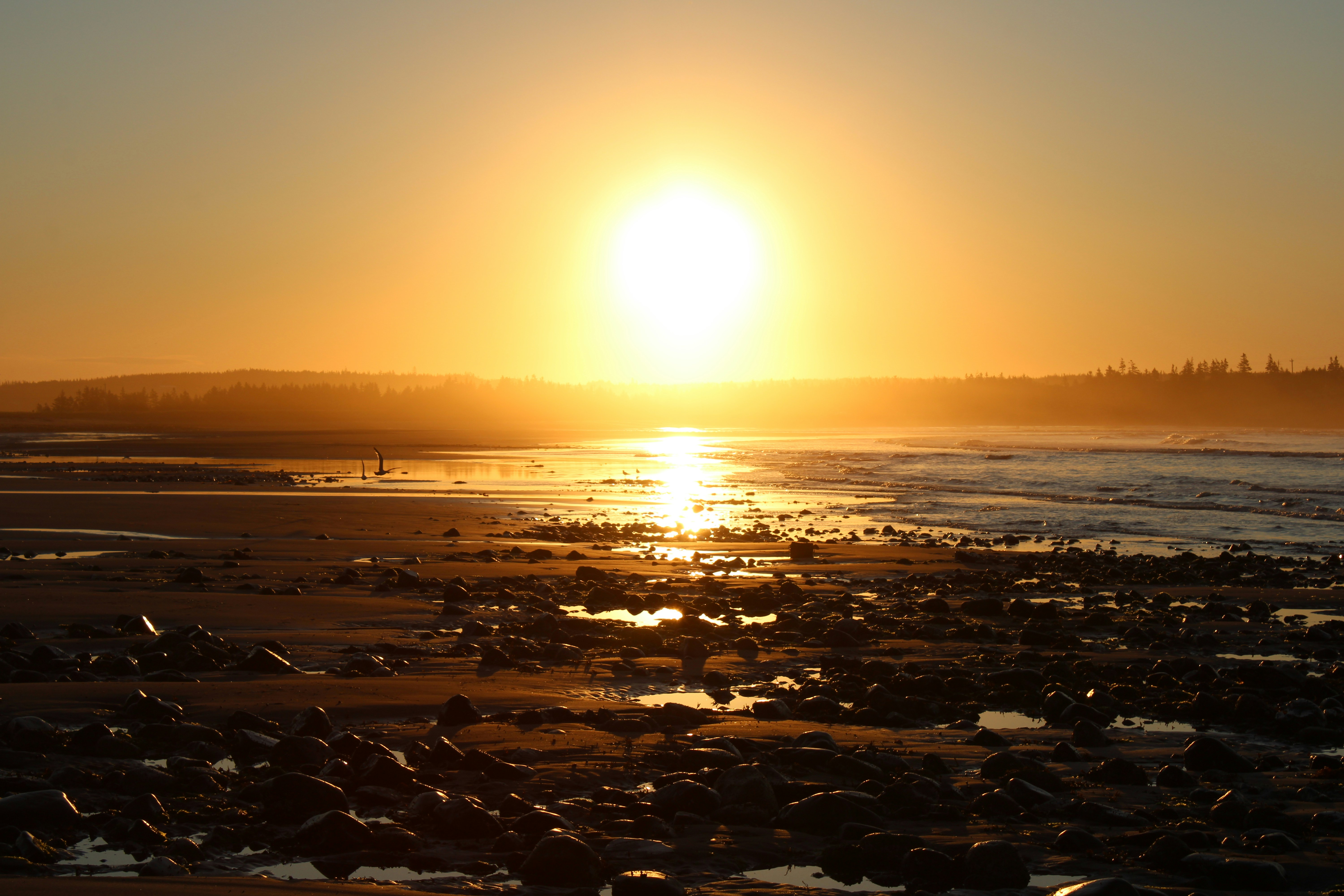 Sunlit Tide: A Quiet Horizon Over Tidal Rocks